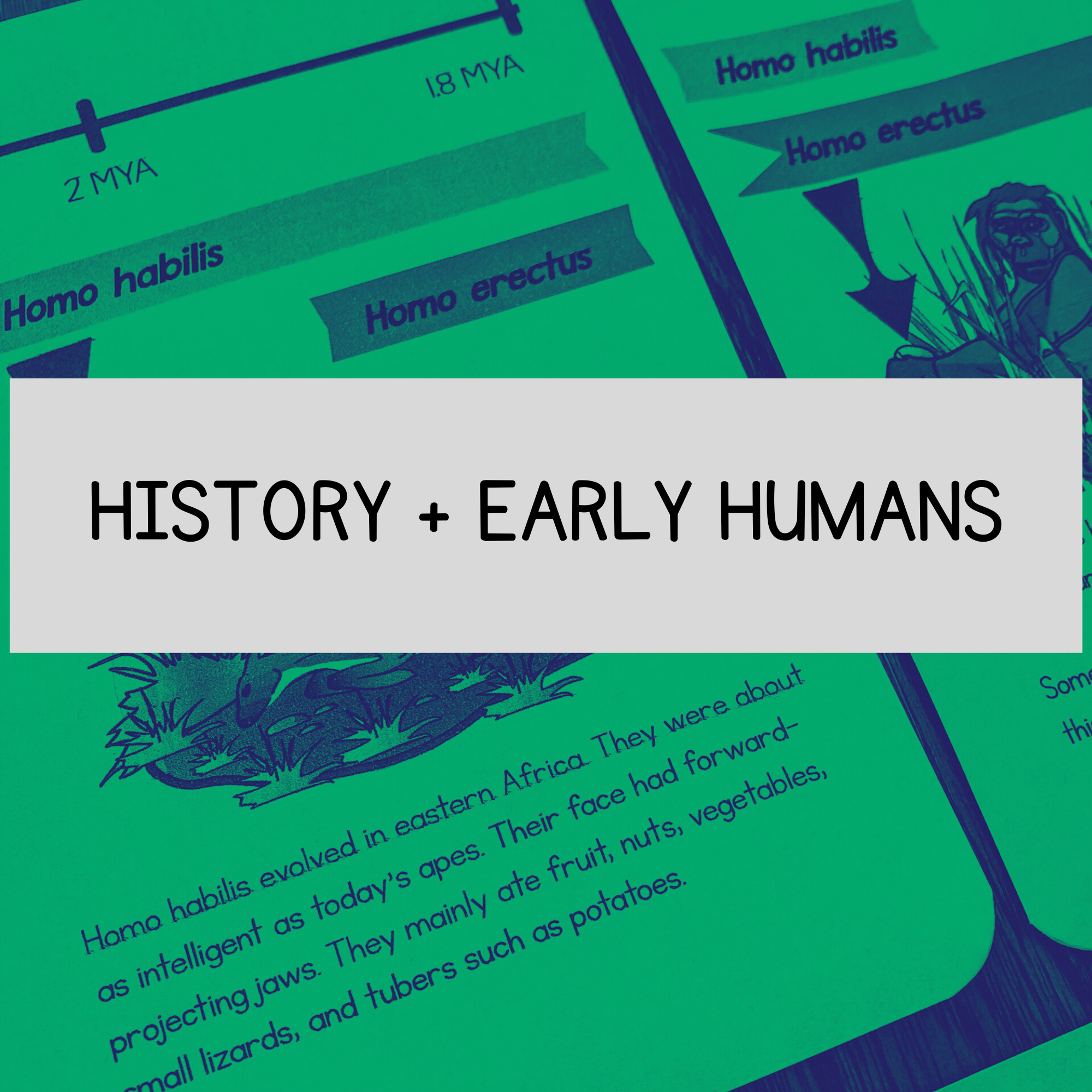 History and Early Humans – montessorikiwi