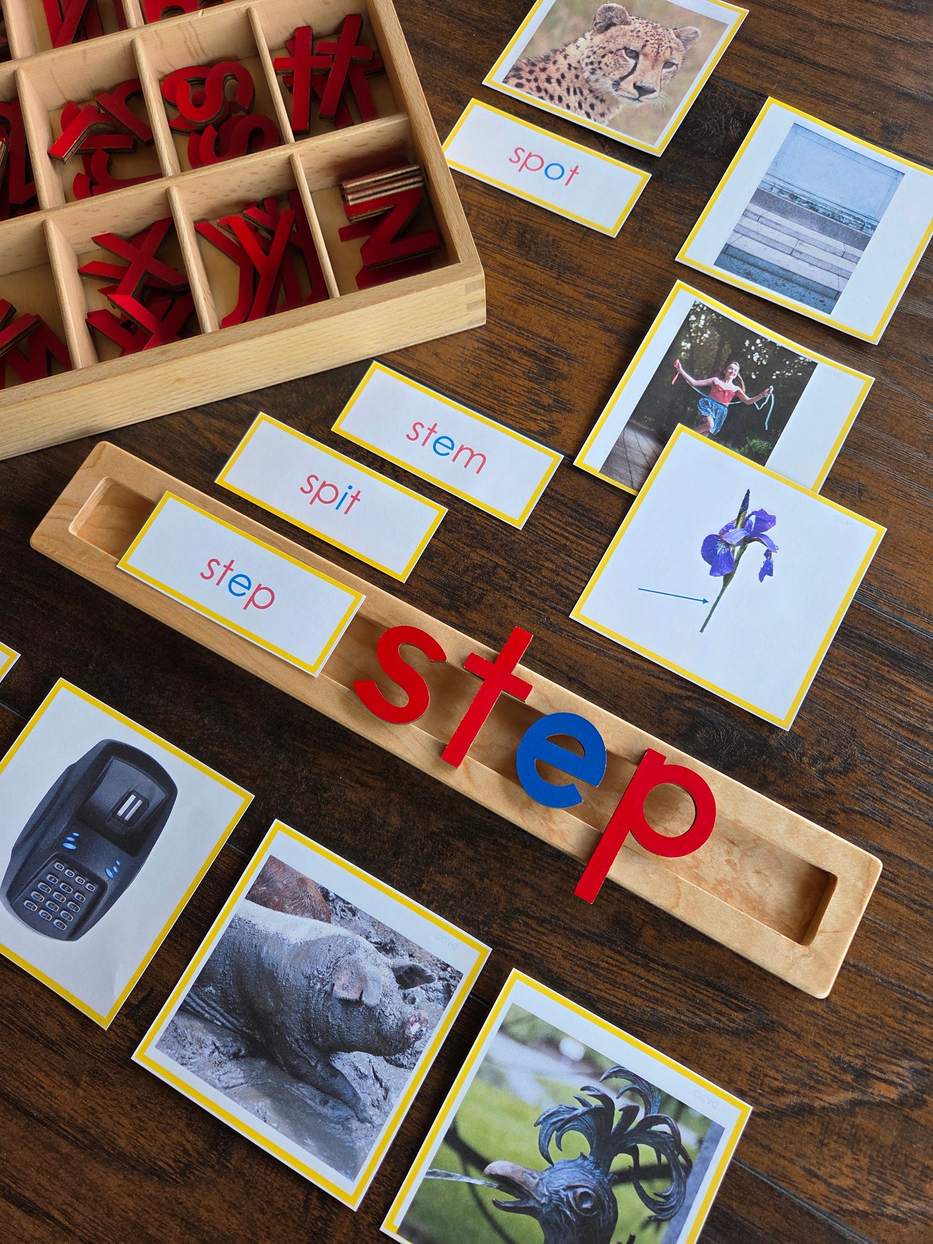 Montessori Science of Reading – montessorikiwi