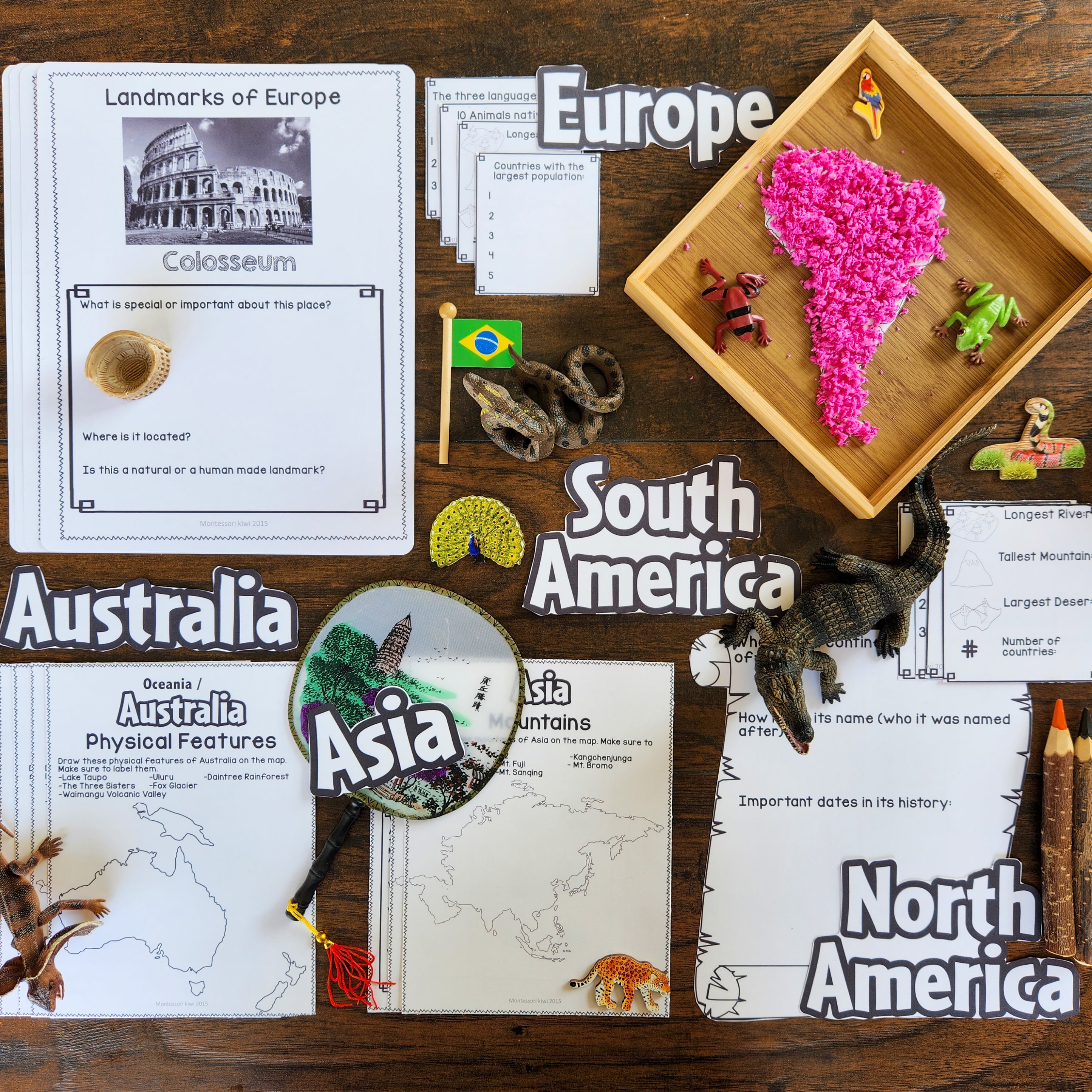 Continent Activities and Projects – montessorikiwi