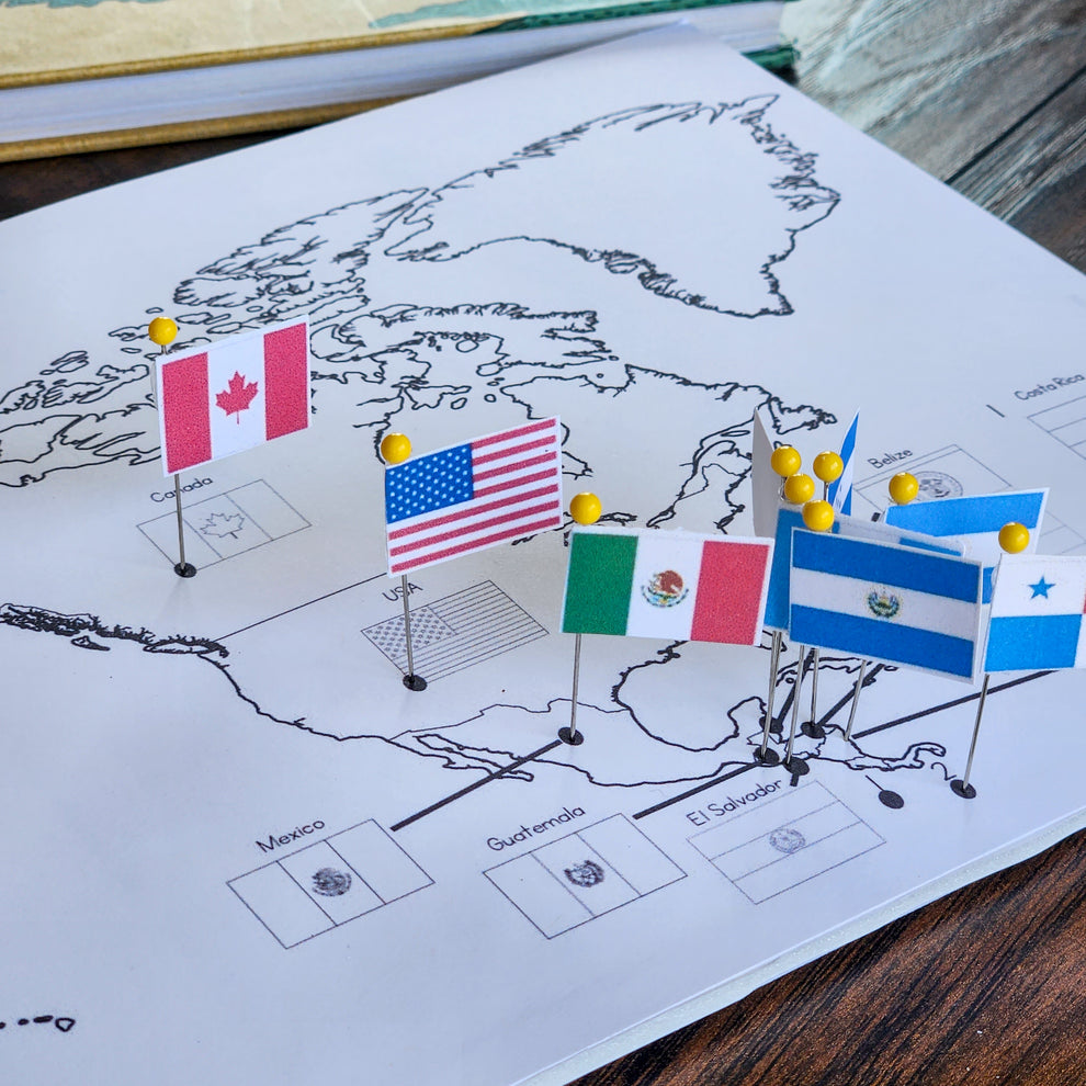 North and Central America Flag Pin Map – montessorikiwi
