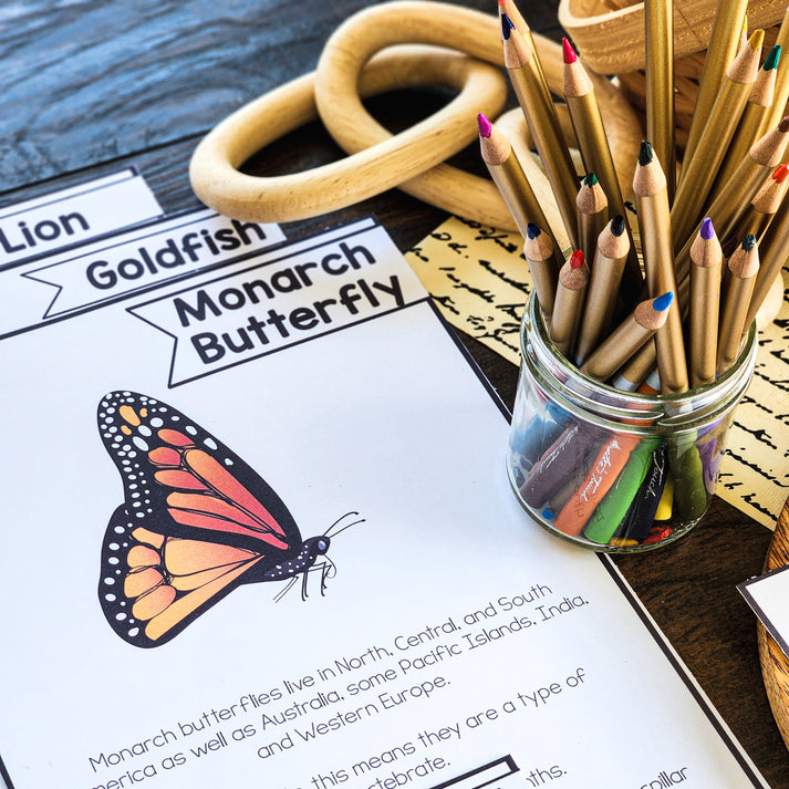 Beginner Animal Research Templates – montessorikiwi