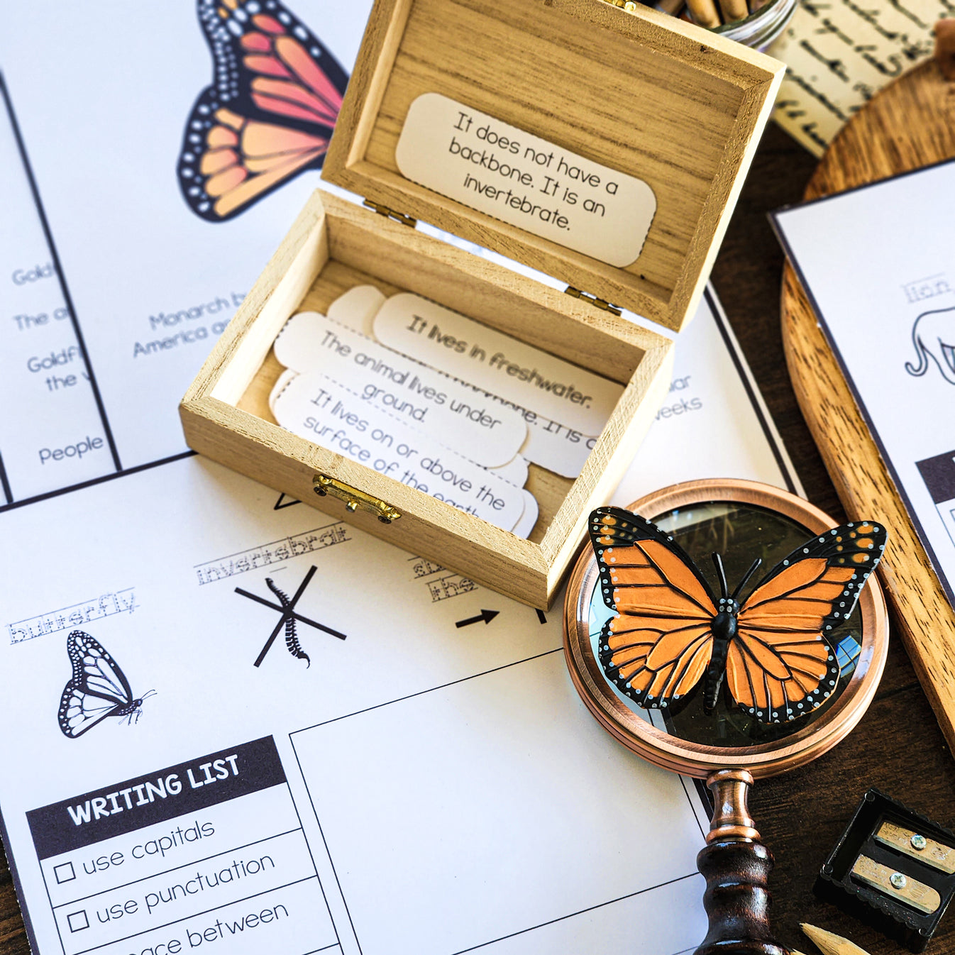 Beginner Animal Research Templates – montessorikiwi