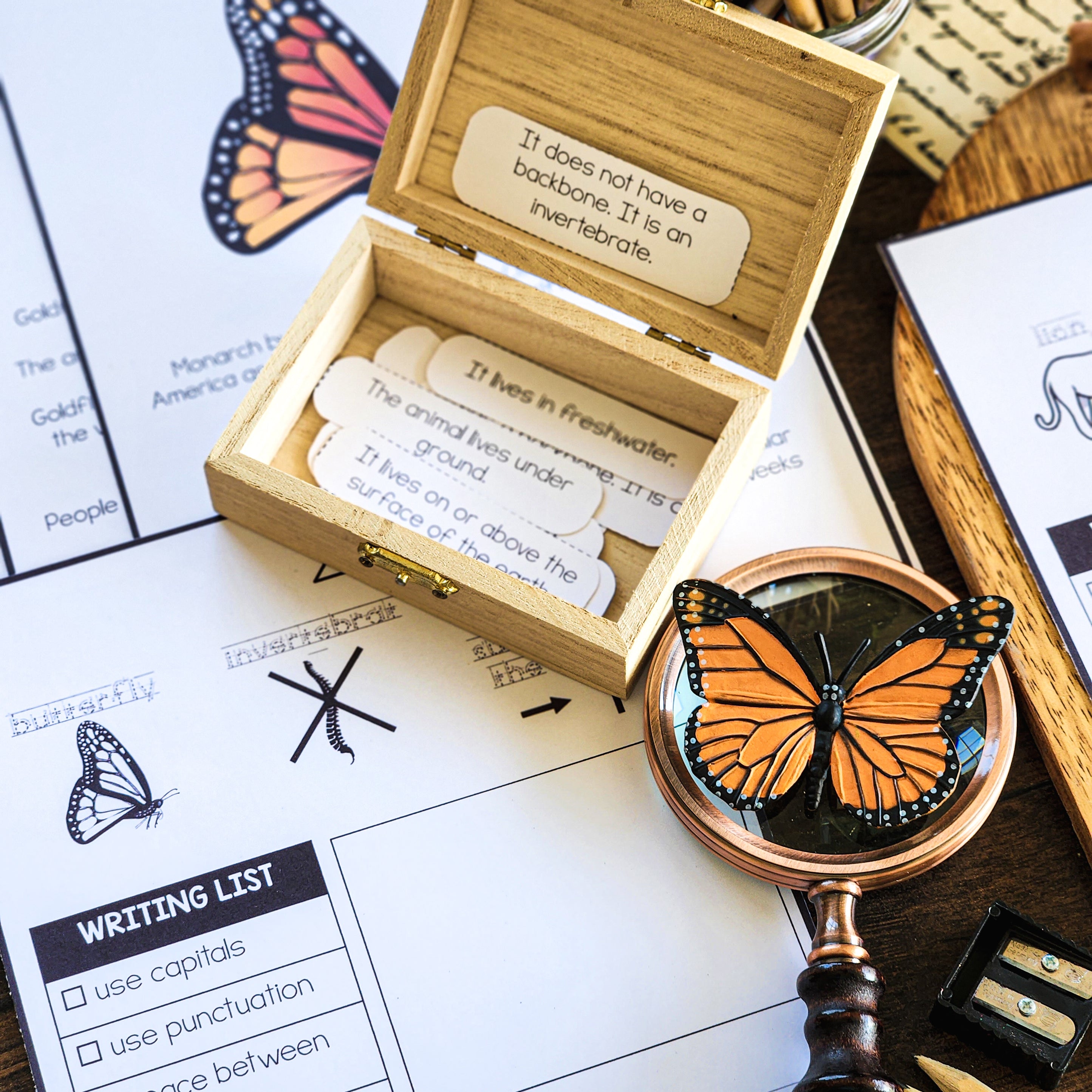 Beginner Animal Research Templates – montessorikiwi