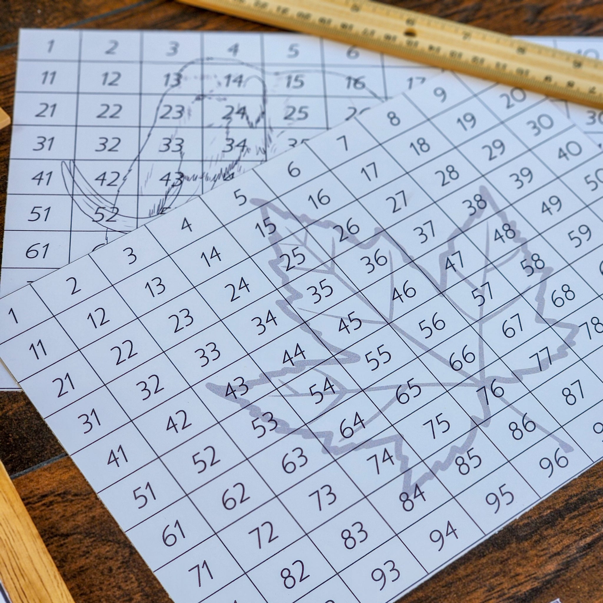 Hundred Board Picture Extensions – montessorikiwi