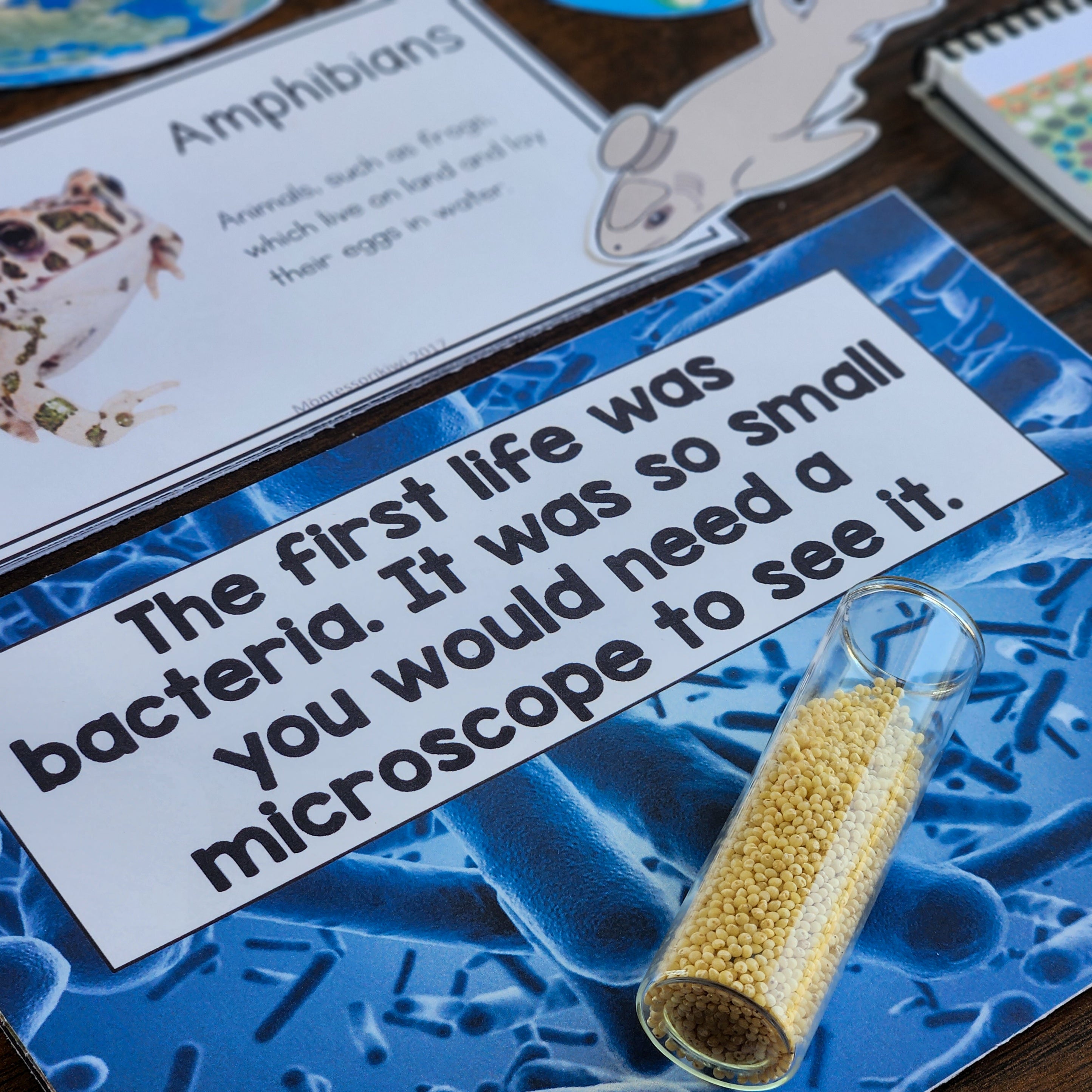 Montessori Great Lesson or Story Bundle – montessorikiwi