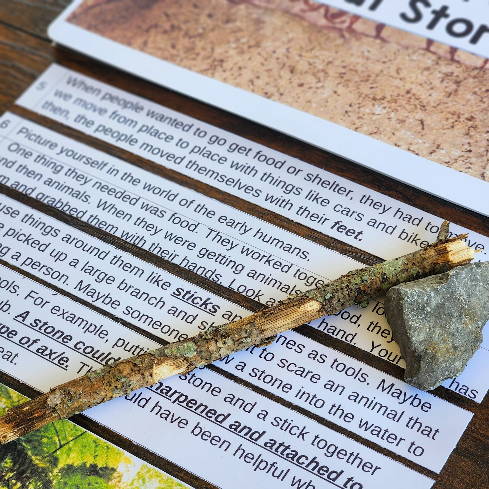 Montessori Great Lesson or Story Bundle – montessorikiwi