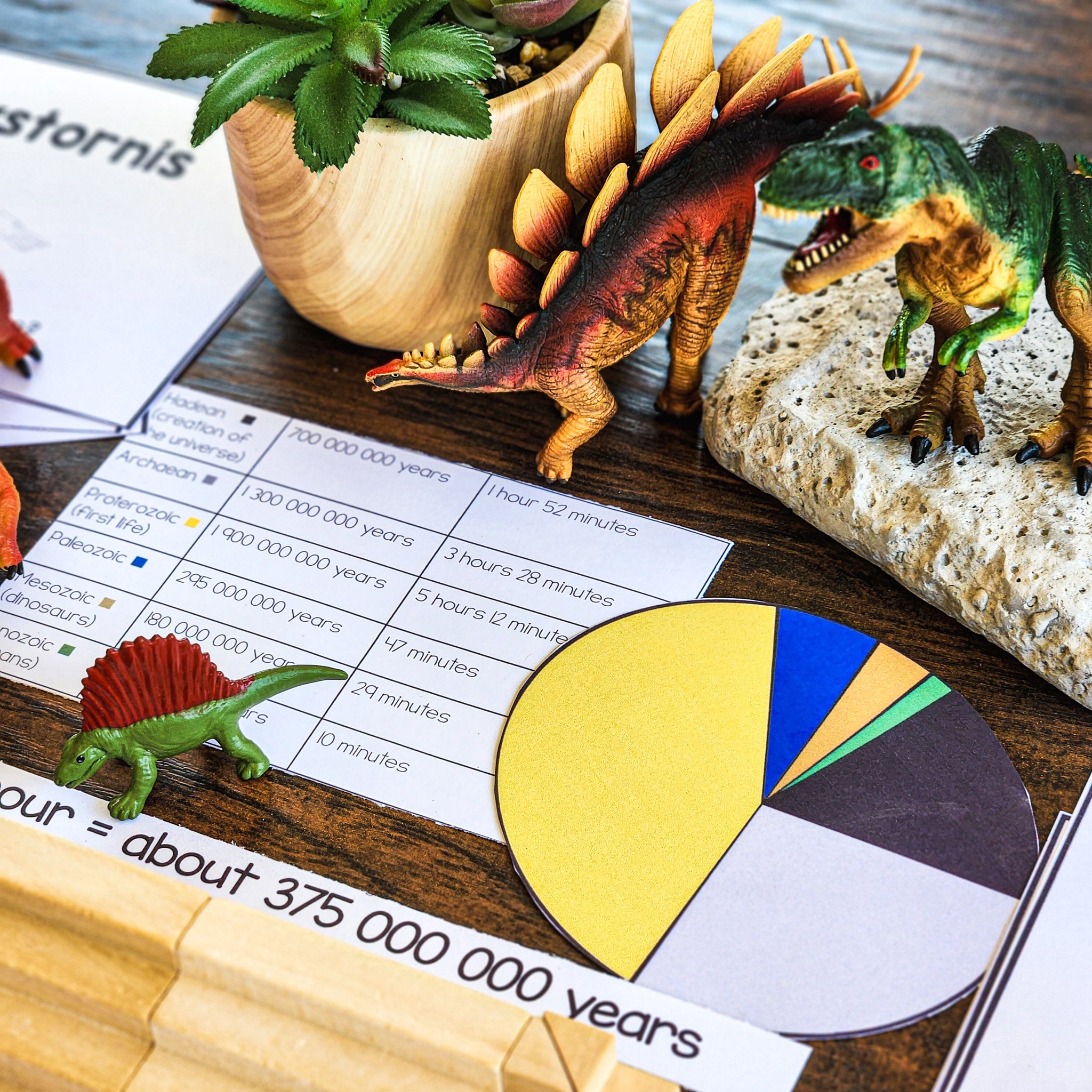 Early life research for Montessori (cosmic) – montessorikiwi