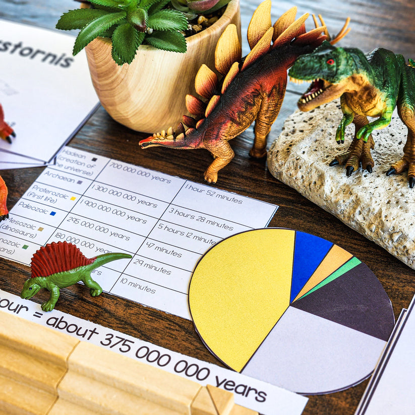 Early life research for Montessori (cosmic) – montessorikiwi