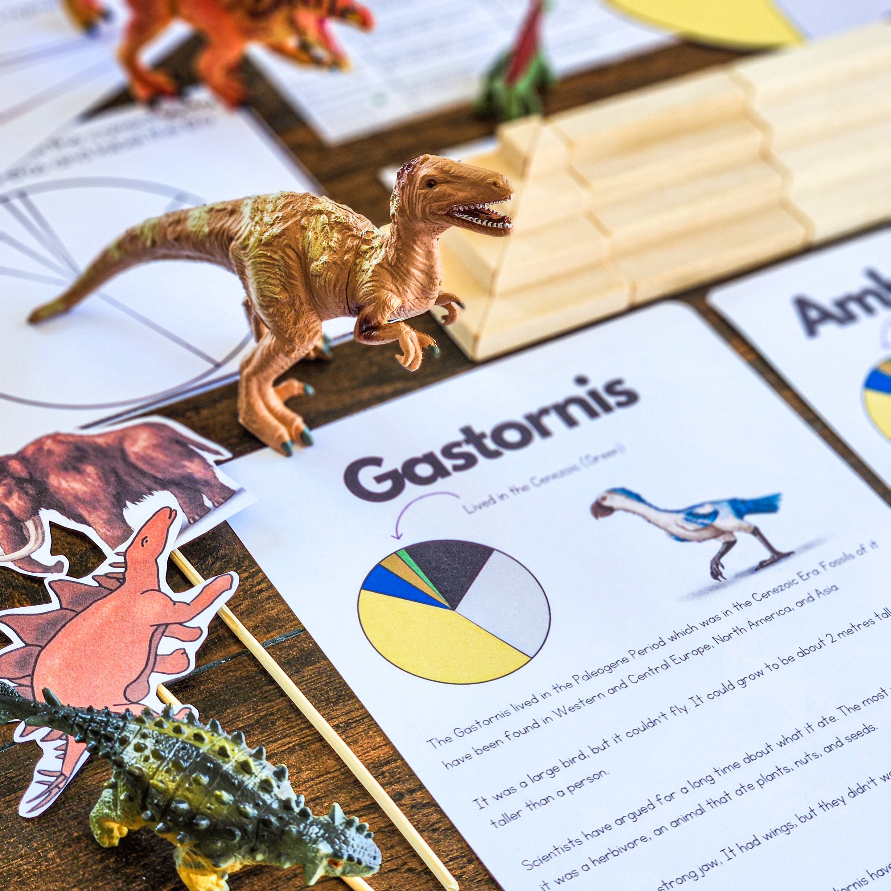 Early life research for Montessori (cosmic) – montessorikiwi