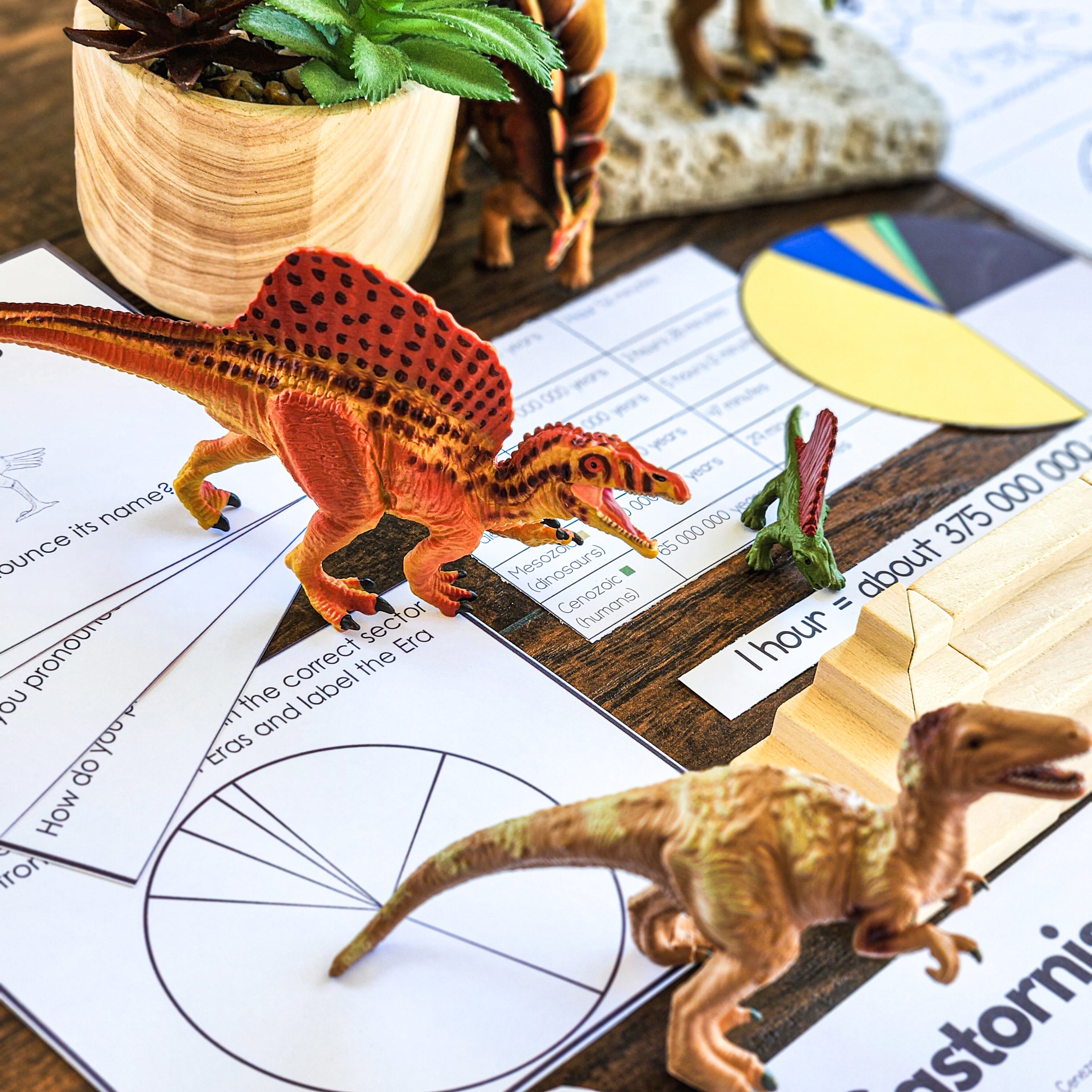 Early life research for Montessori (cosmic) – montessorikiwi