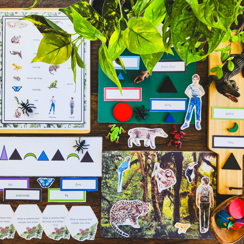 Montessori Miniature Environment: Rainforest (literacy) – montessorikiwi