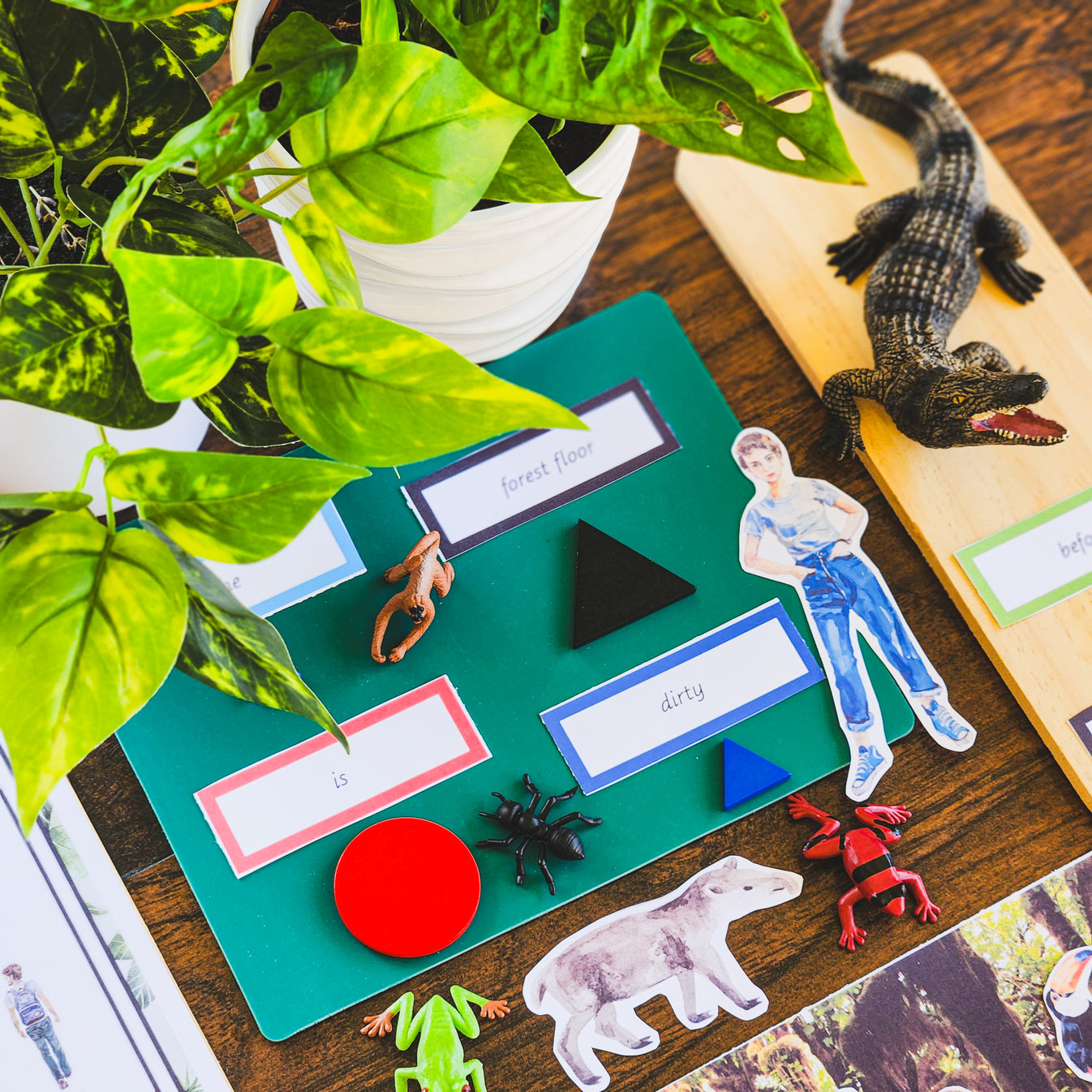 Montessori Miniature Environment: Rainforest (literacy) – montessorikiwi