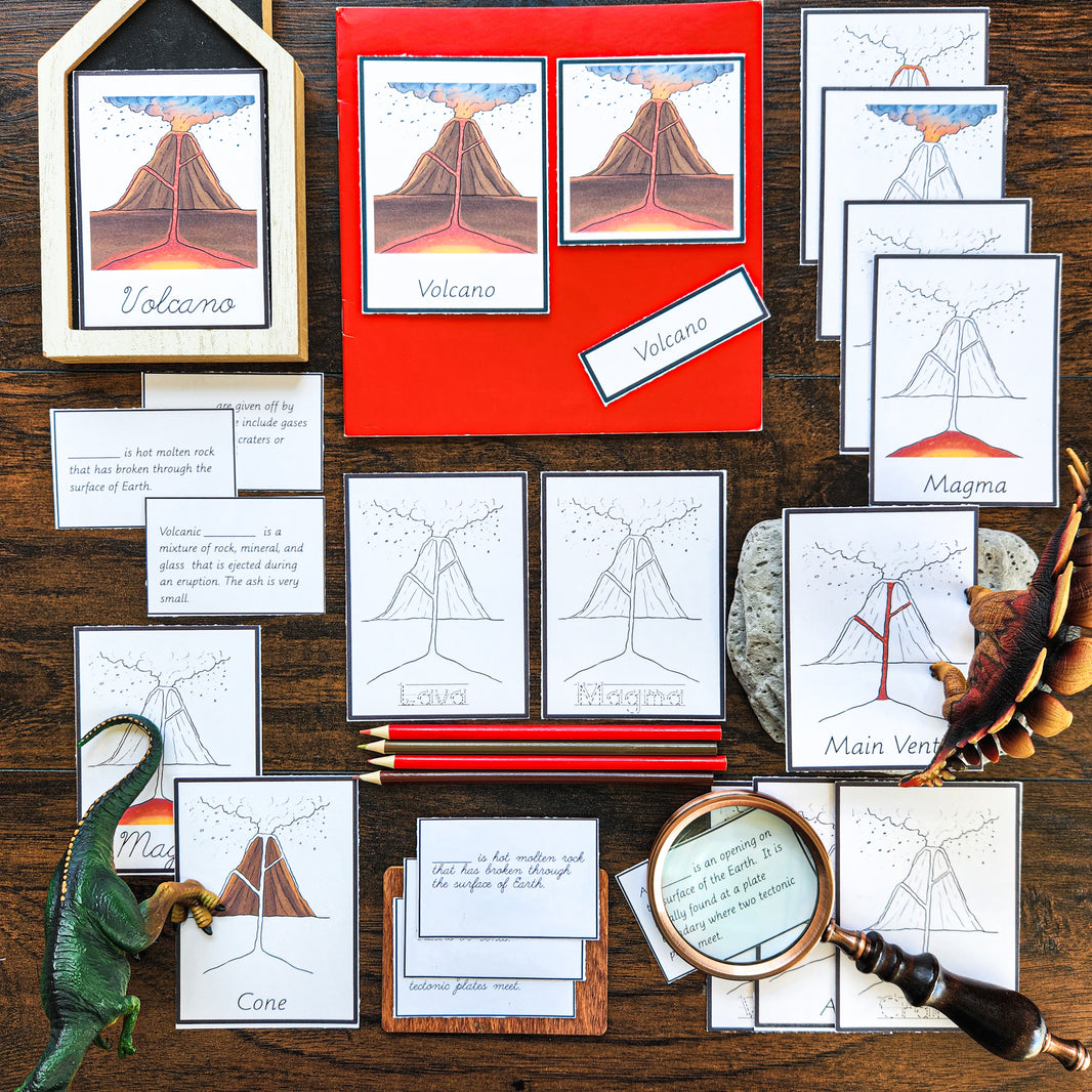 Free – montessorikiwi
