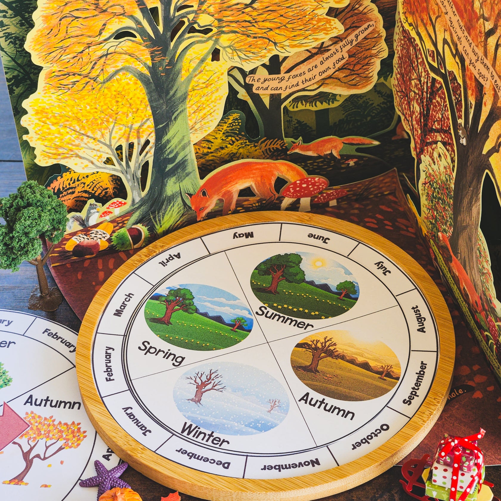 Southern Hemisphere Seasonal Wheel – montessorikiwi