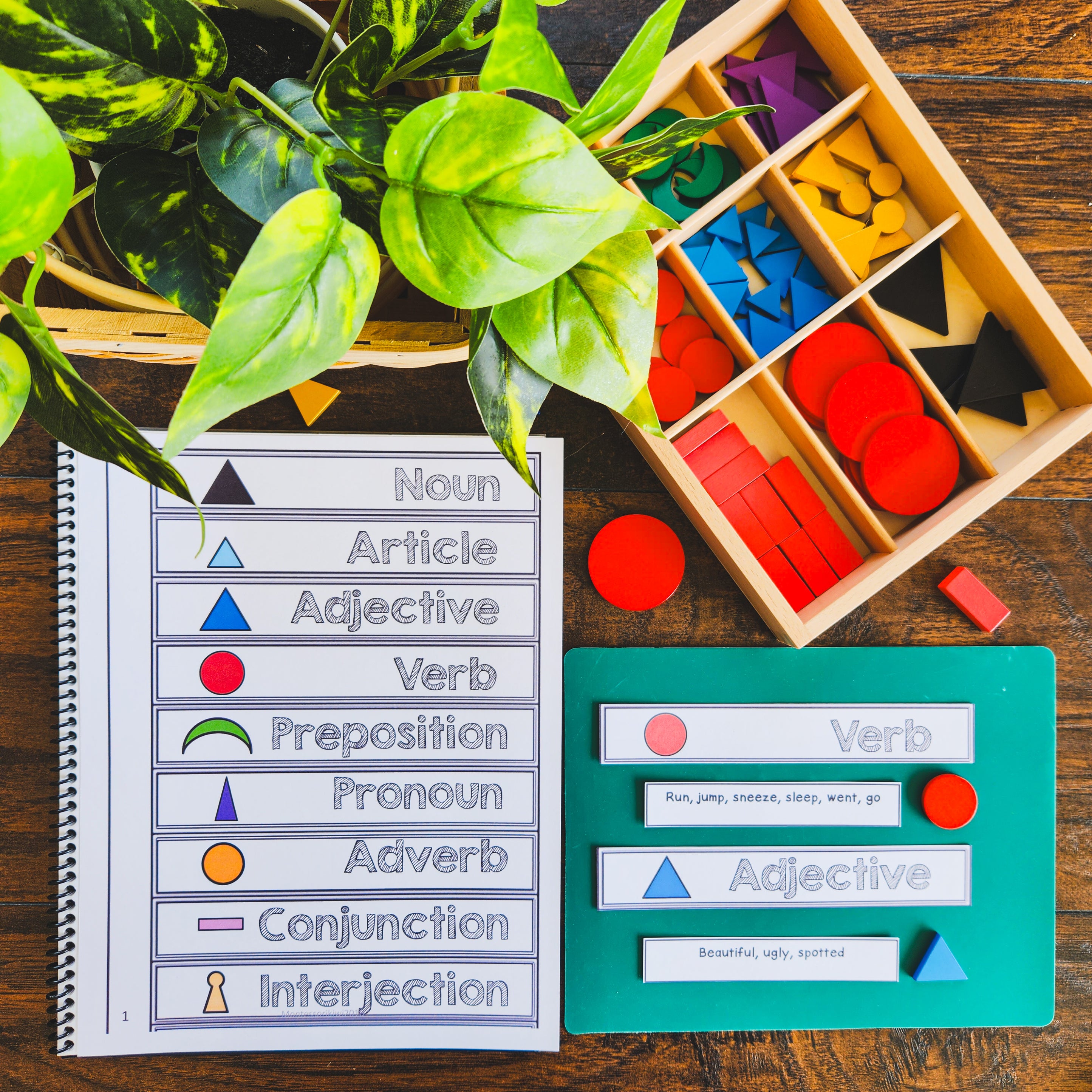 Montessori Grammar Interactive Notebook | Parts of Speech – montessorikiwi