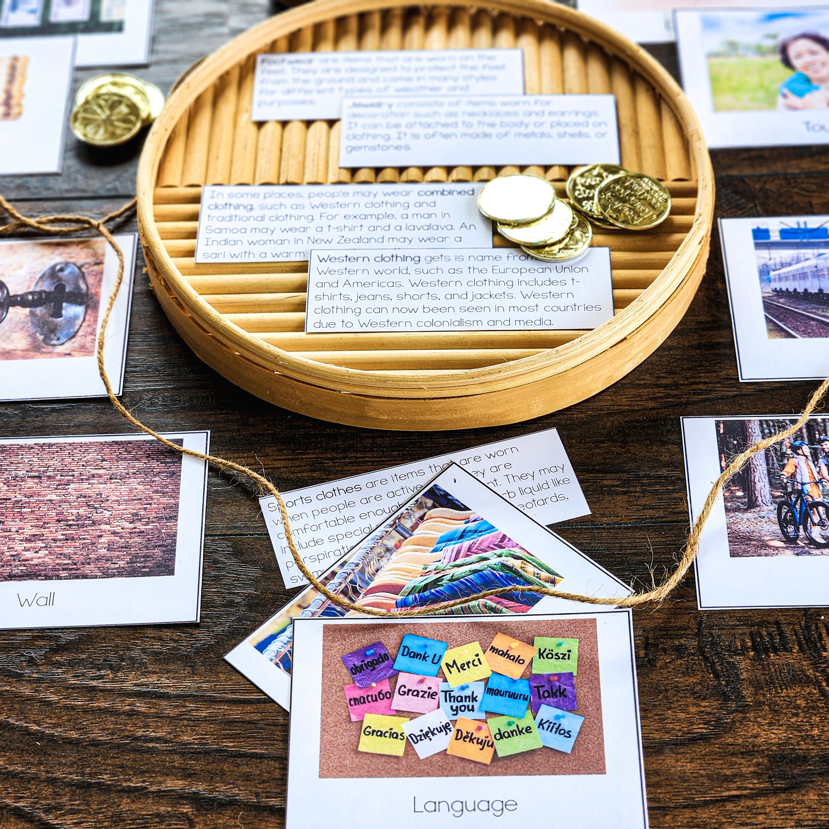 Fundamental Needs of Humans Card Set (cosmic) – montessorikiwi