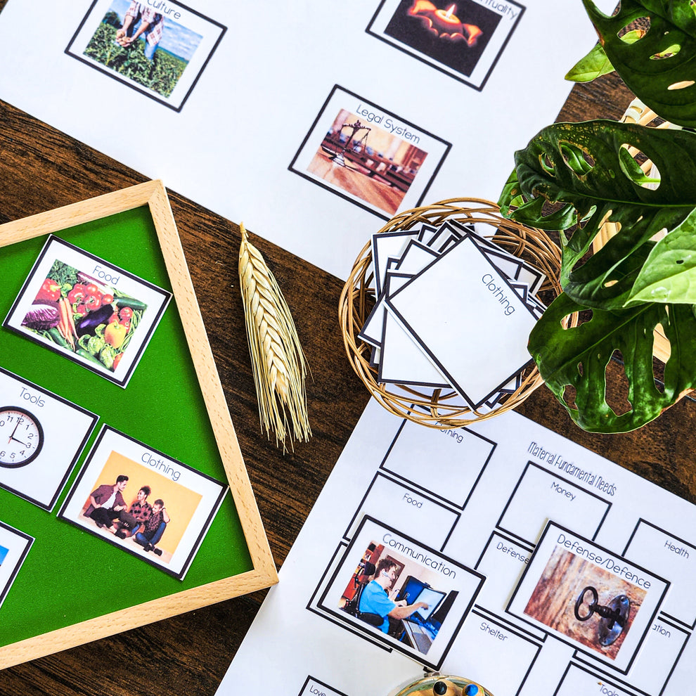 Montessori Introduction to Fundamental Needs Charts (cosmic ...