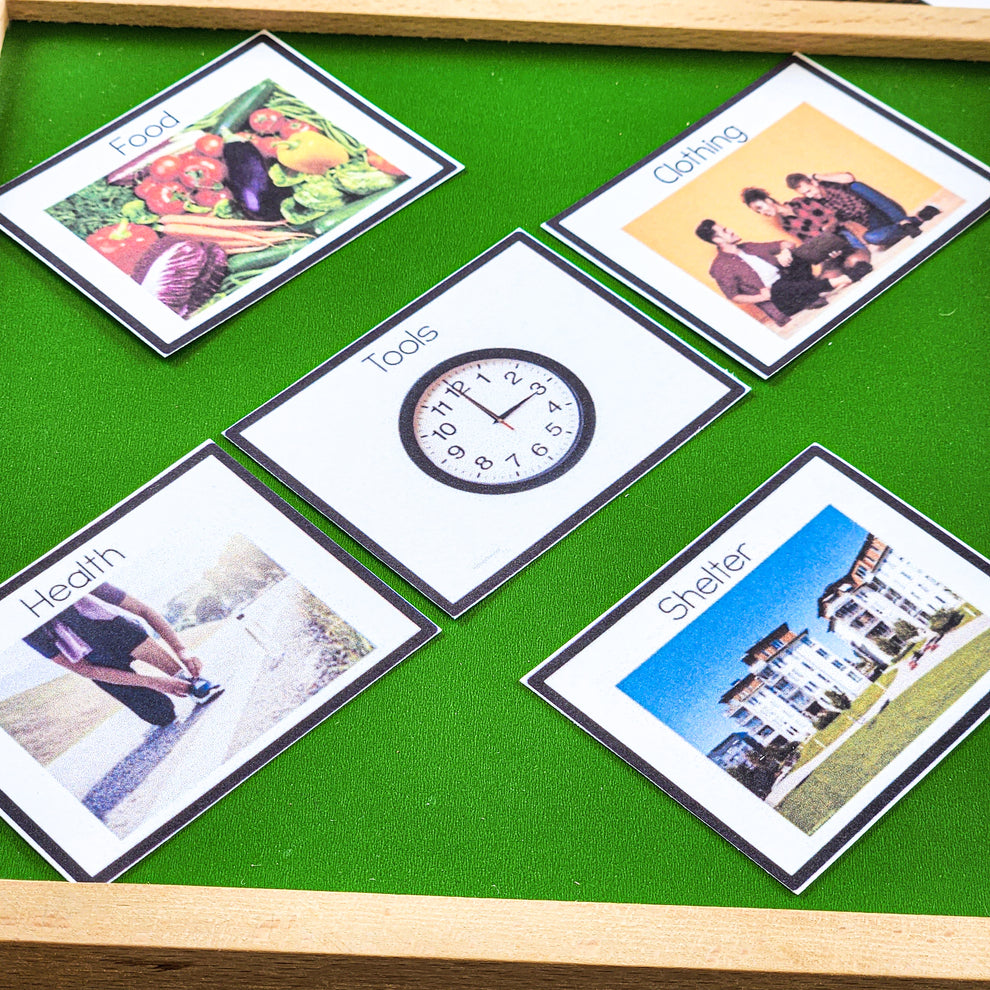 Montessori Introduction to Fundamental Needs Charts (cosmic ...