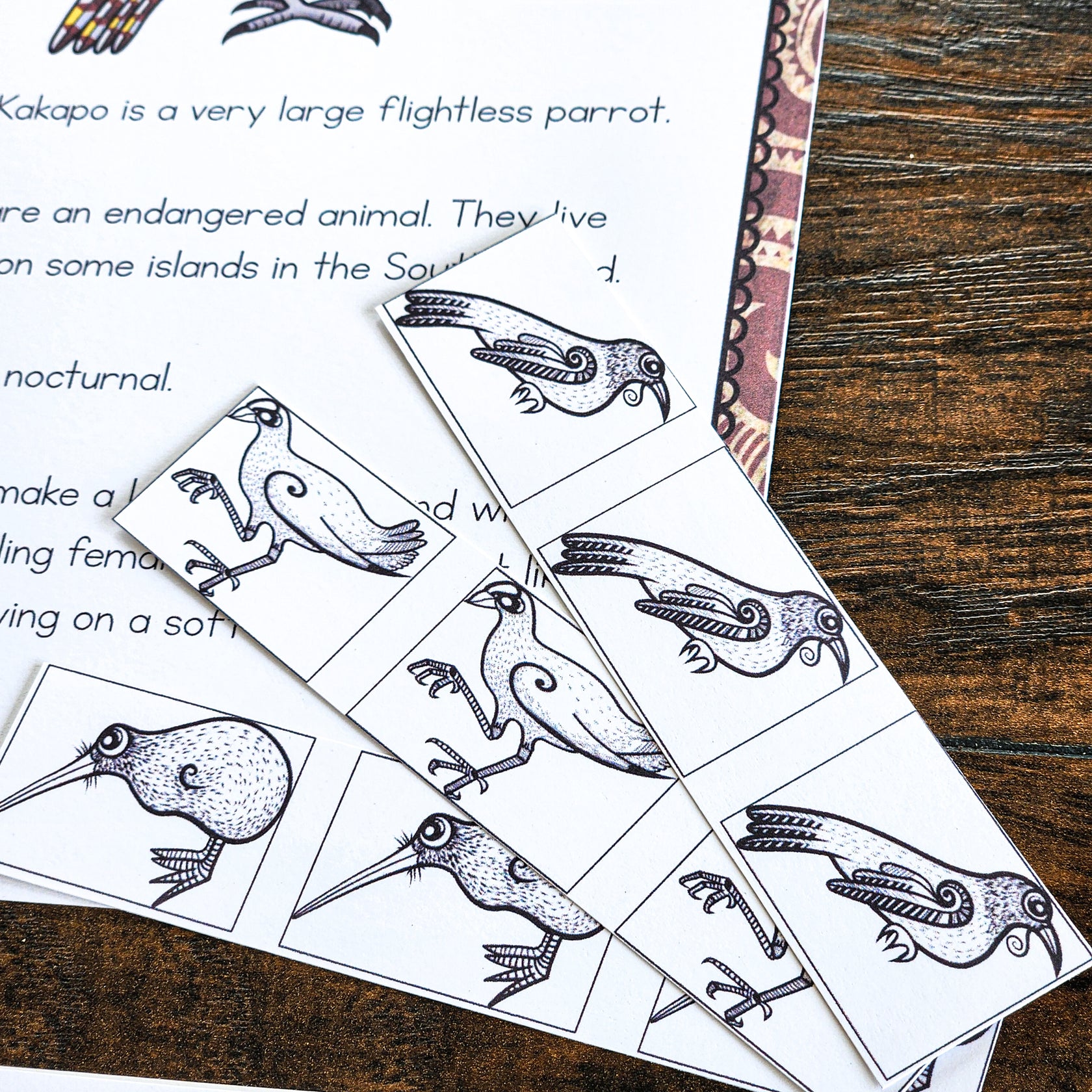 New Zealand Election Activity: Let's vote for our favourite bird ...