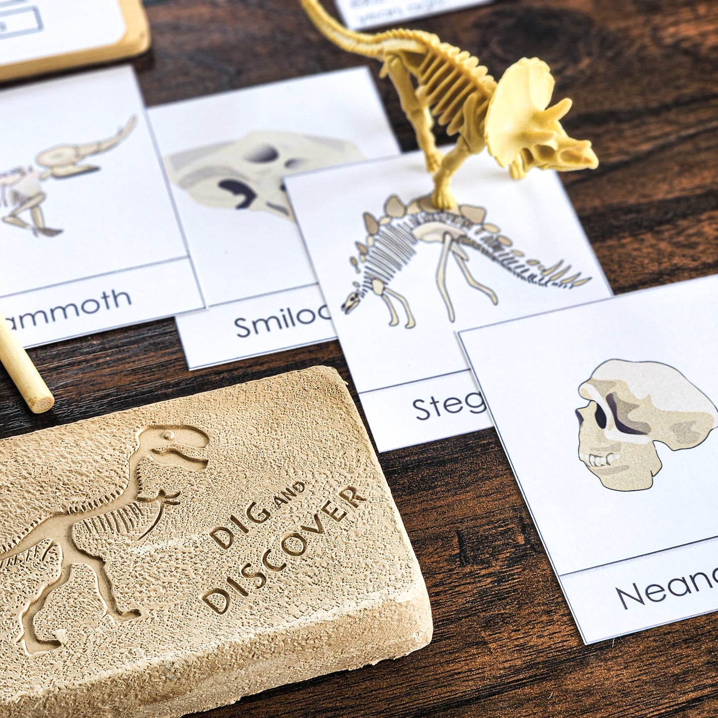Fossils Montessori Earth History & Geological Time Periods Vocabulary ...