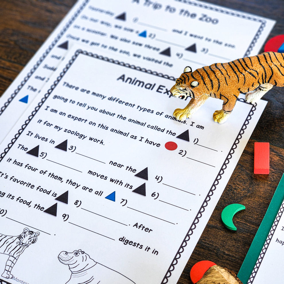 Montessori grammar activity set 1 (literacy) – montessorikiwi