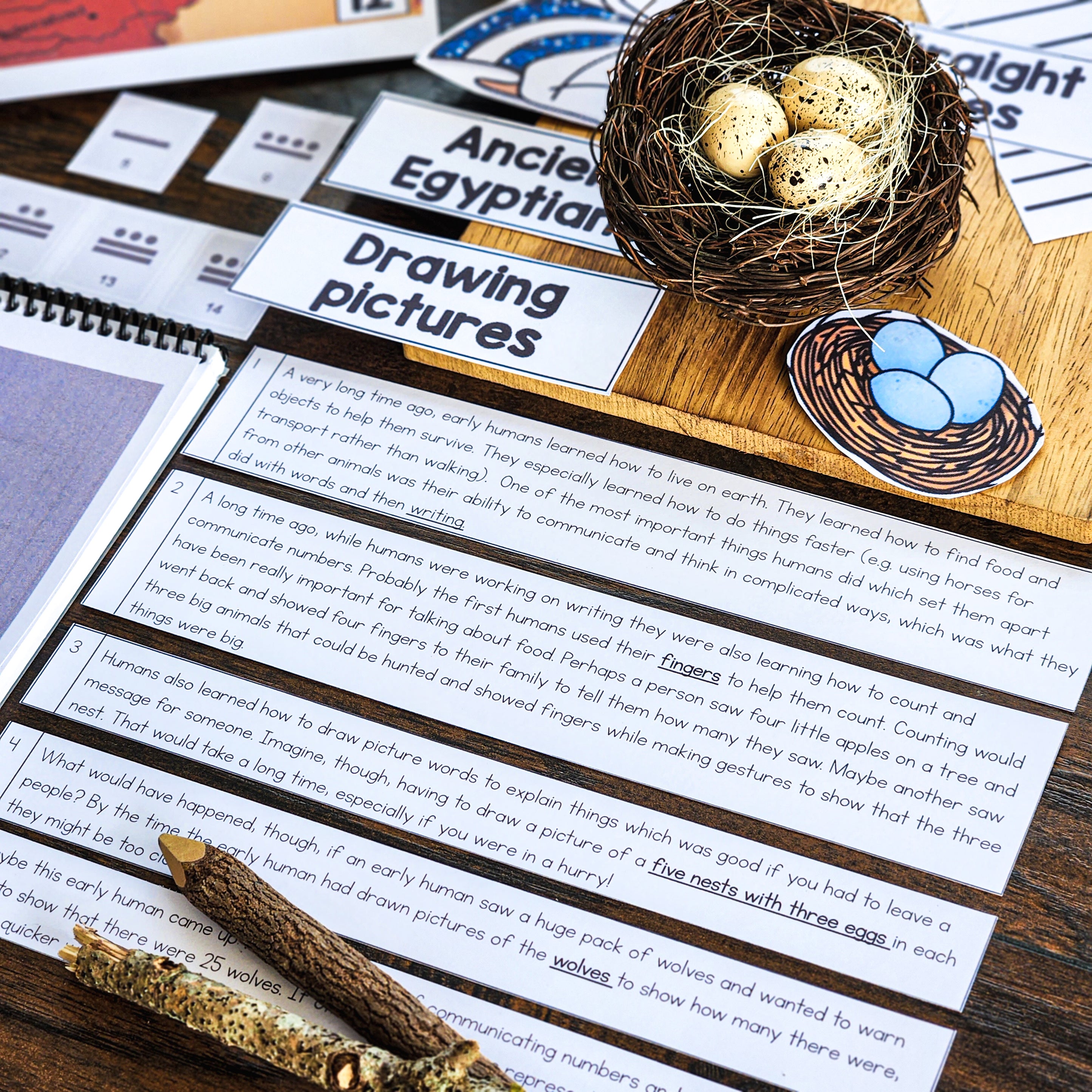 Montessori Great Lesson or Story Bundle – montessorikiwi