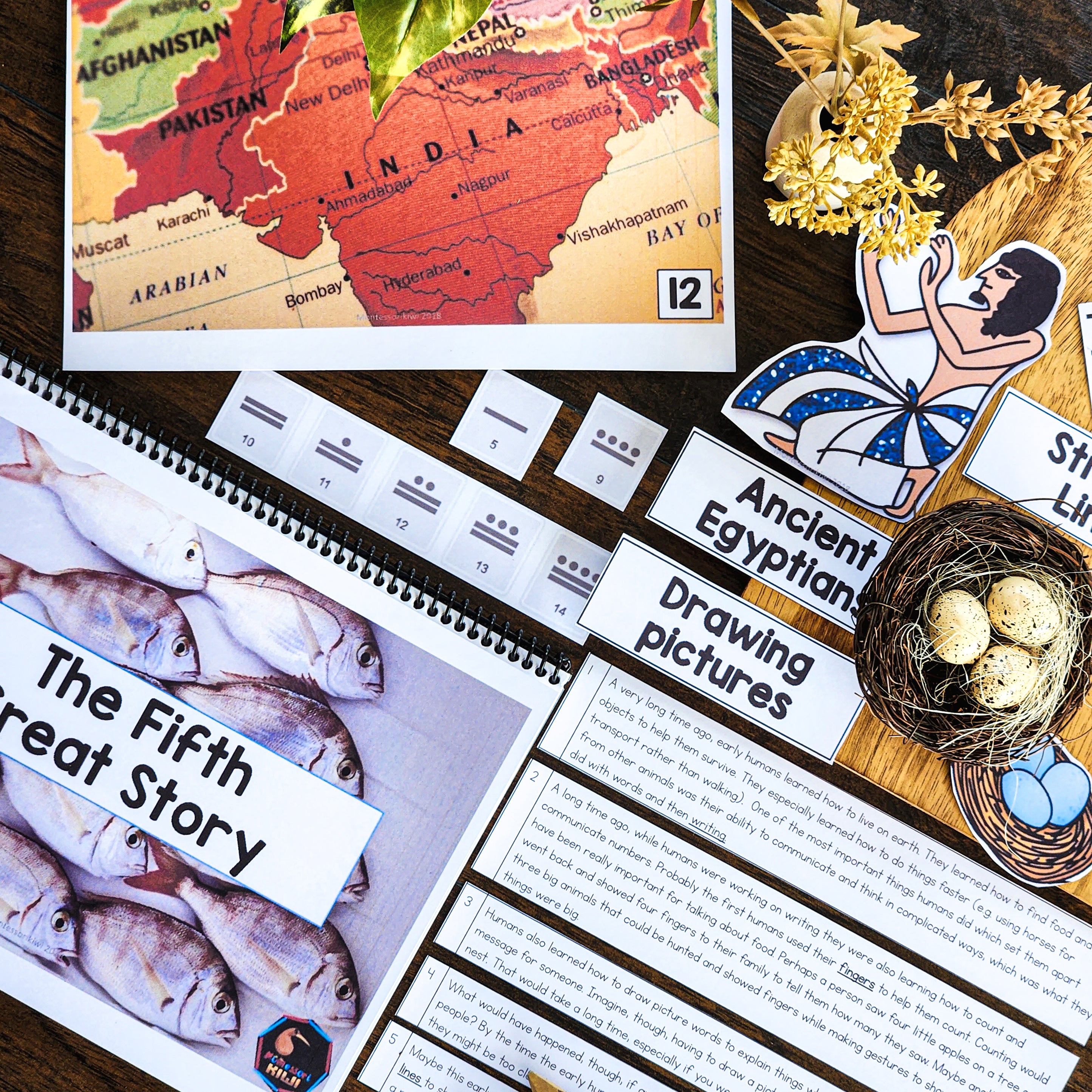 Montessori Fifth Great Story Script and Powerpoint (cosmic ...