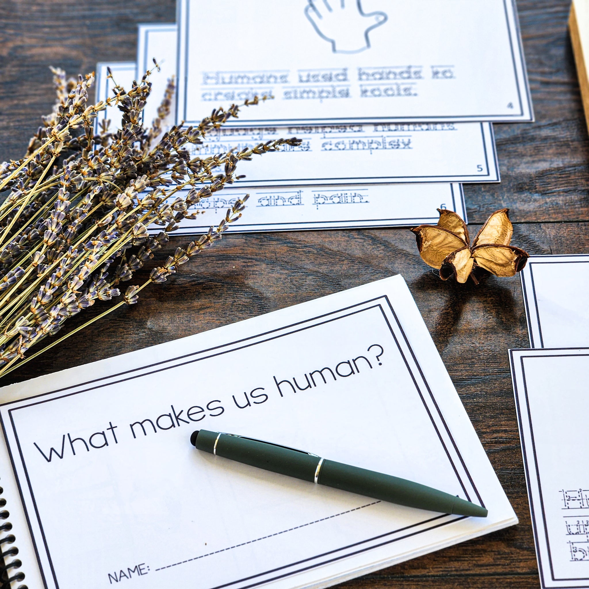 What makes us human? script and create your own booklet (early humans ...