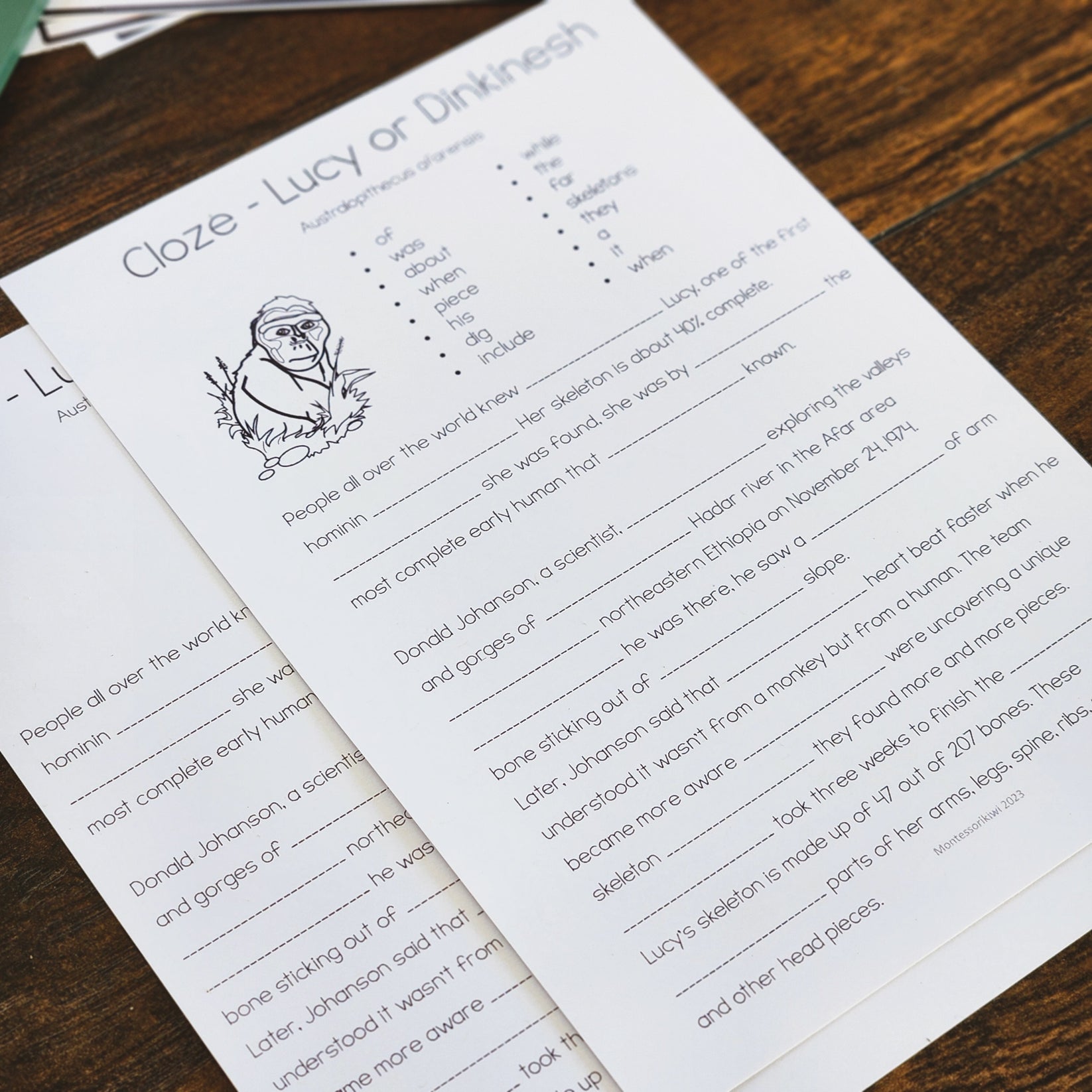 'Lucy' Reading Passages (early humans) (cosmic) – montessorikiwi