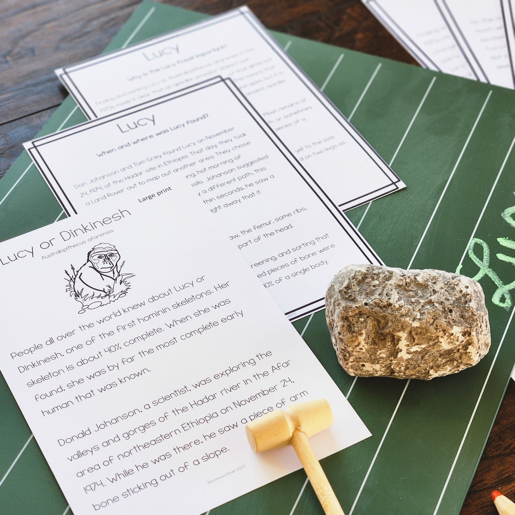 'Lucy' Reading Passages (early humans) (cosmic) – montessorikiwi