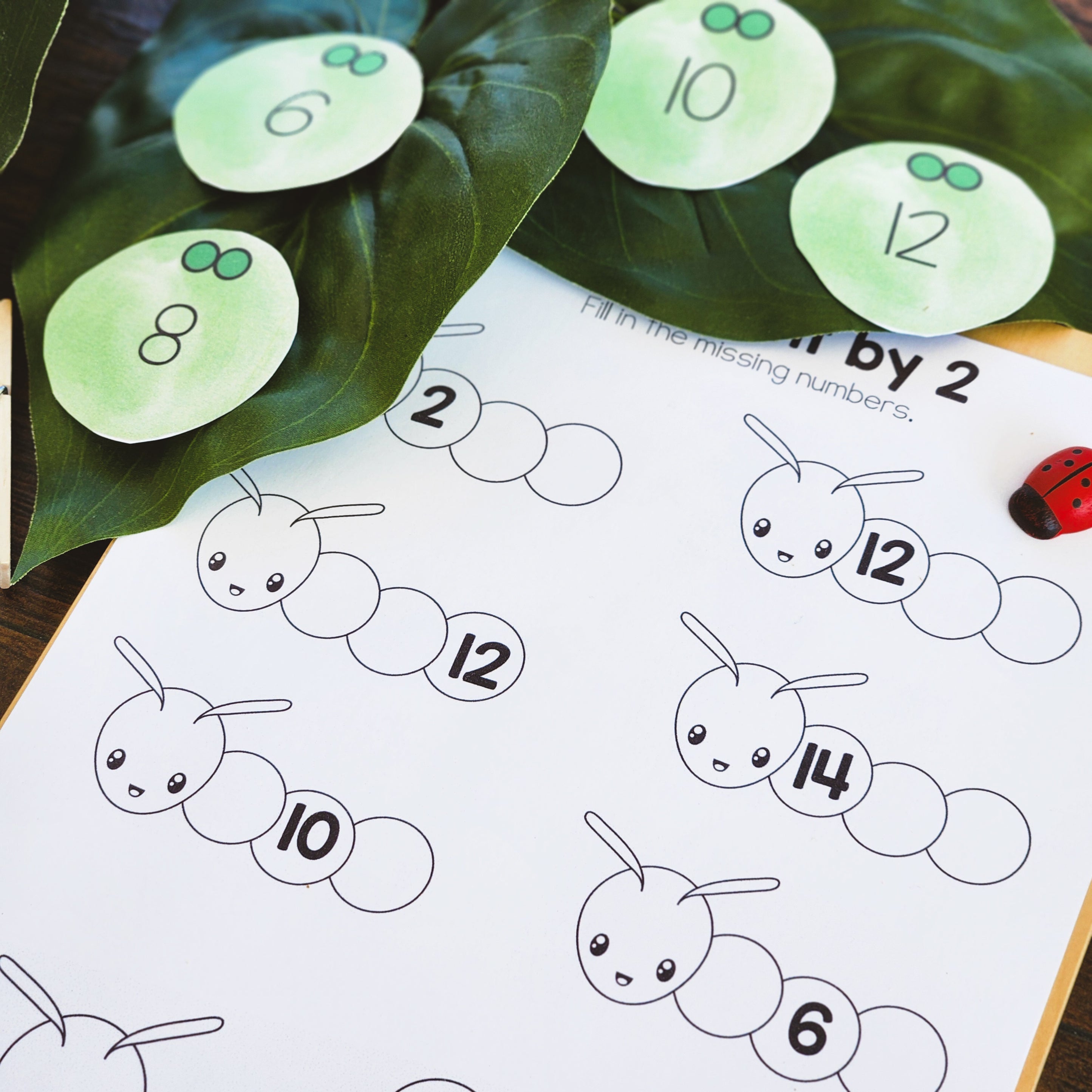 Skip Counting in 2 (Math resource) – montessorikiwi