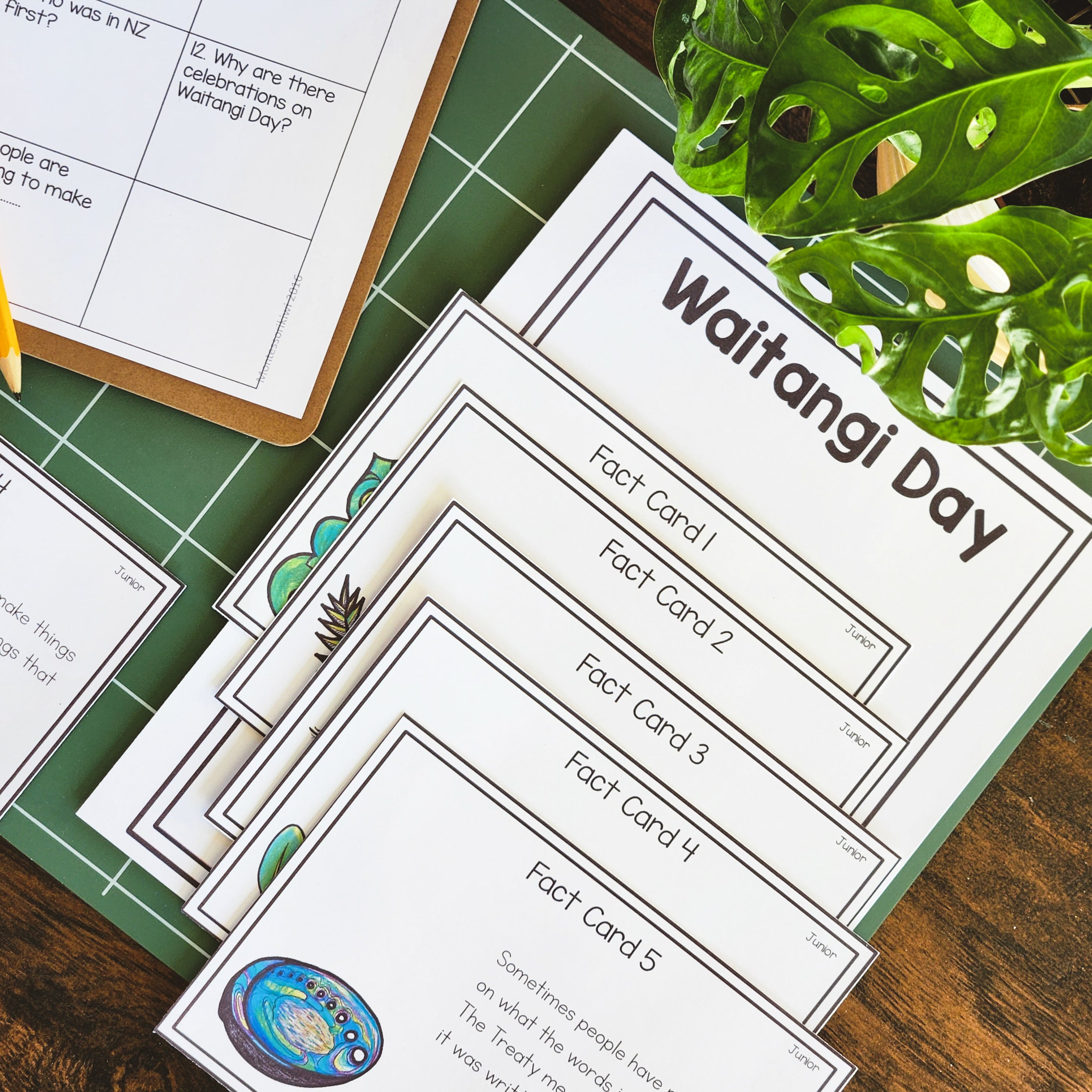 Waitangi Day Scavenger Hunt - Junior Edition – montessorikiwi