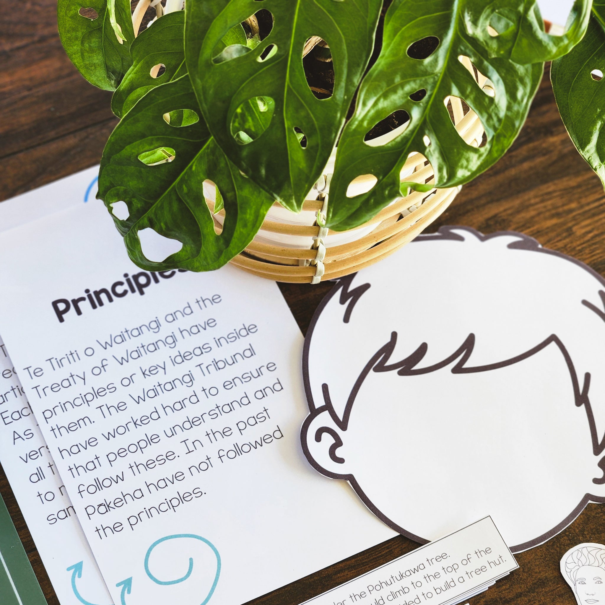 Waitangi Day Bundle – montessorikiwi