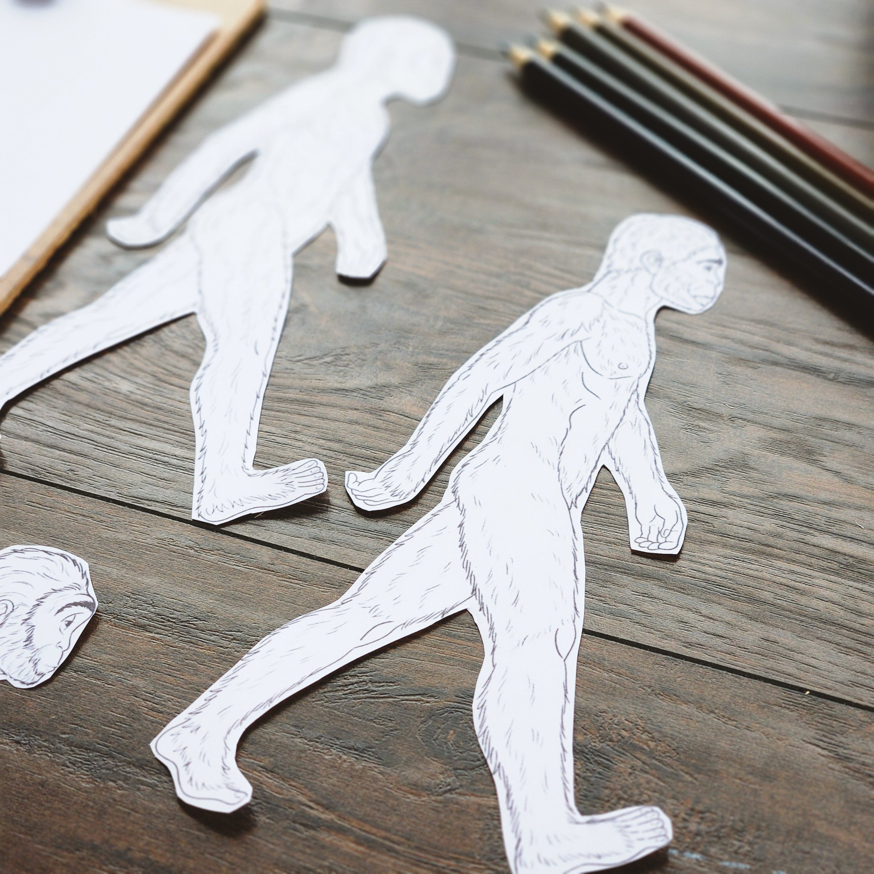 How to draw early humans and early humans coloring (EARLY HUMANS) (cos ...