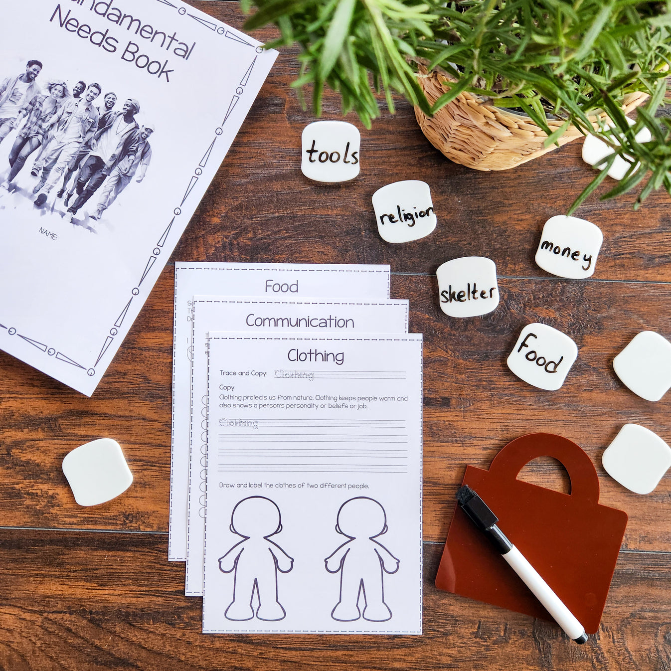 Fundamental Human Needs Workbook | Montessori Cosmic Study – montessorikiwi