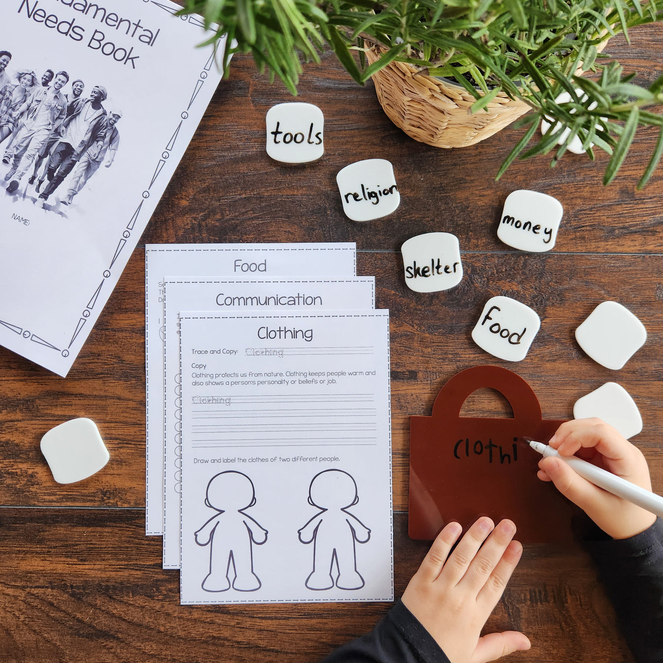 Fundamental Human Needs Workbook | Montessori Cosmic Study – montessorikiwi