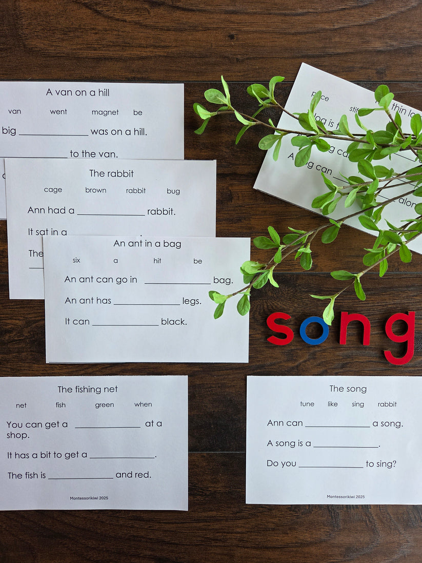 Modern Montessori Reading SOR simple reading comprehension fill in gap ...