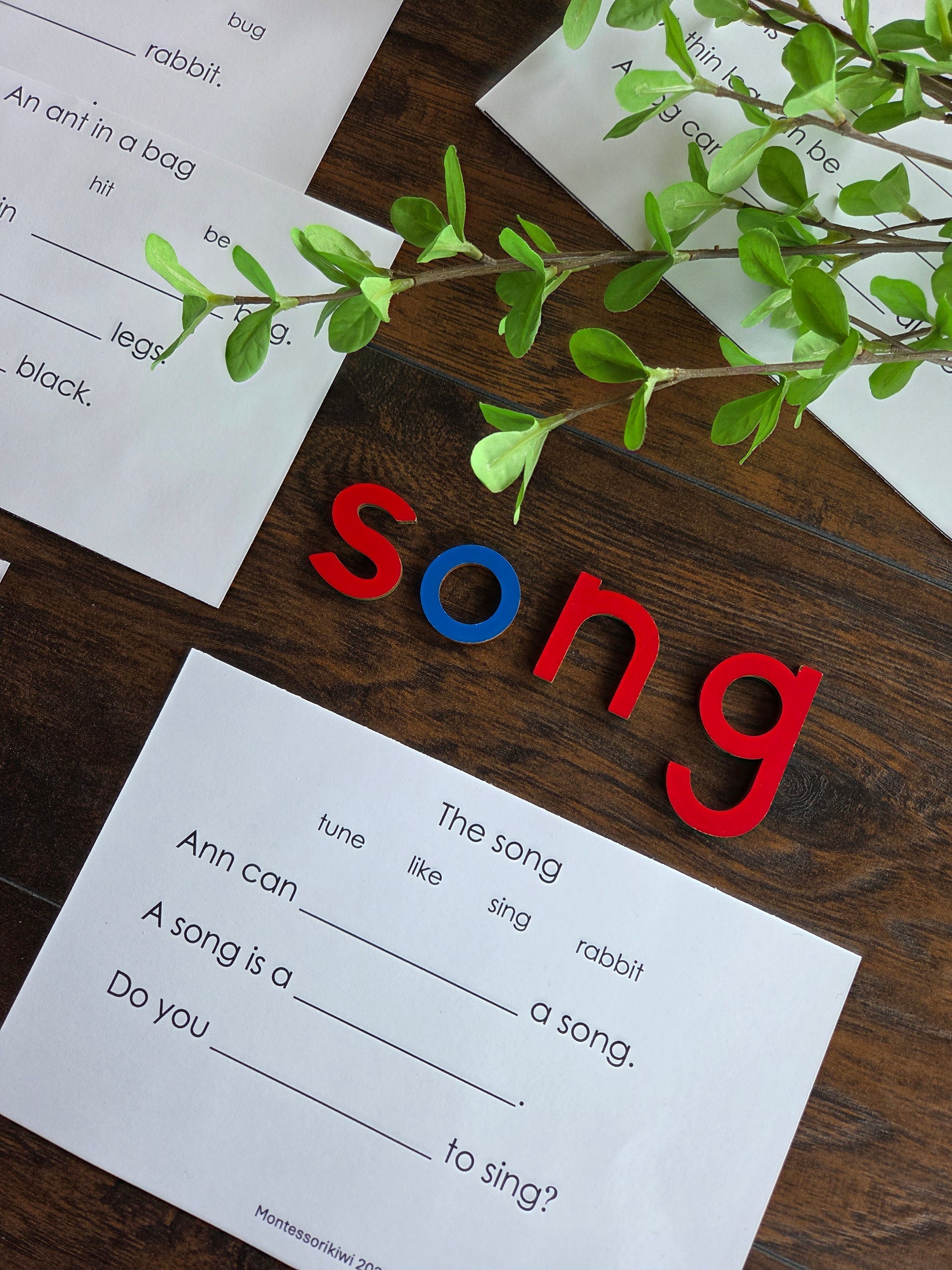 Modern Montessori Reading SOR simple reading comprehension fill in gap ...