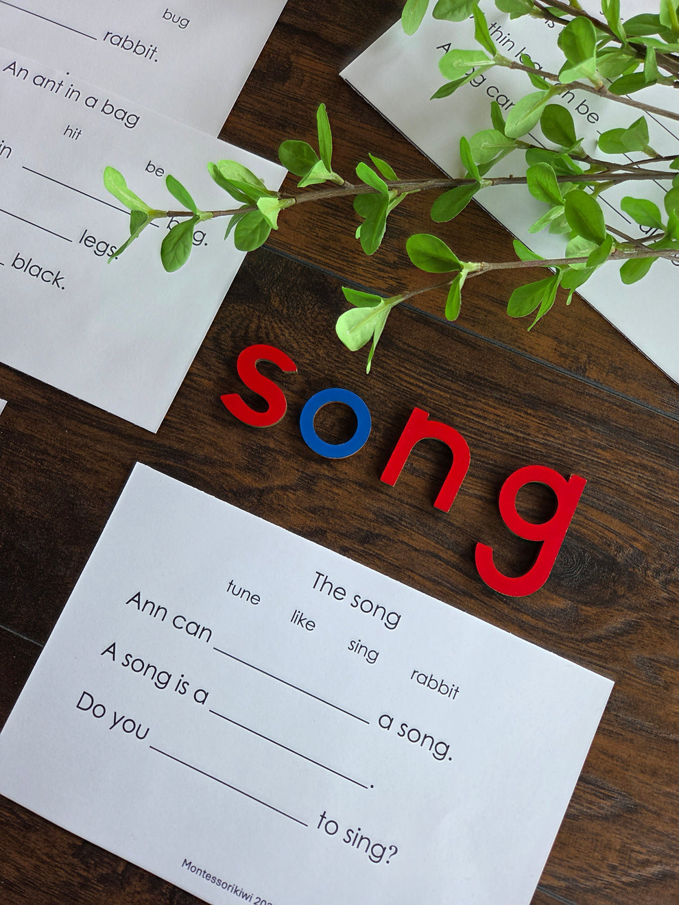 Modern Montessori Reading SOR simple reading comprehension fill in gap ...