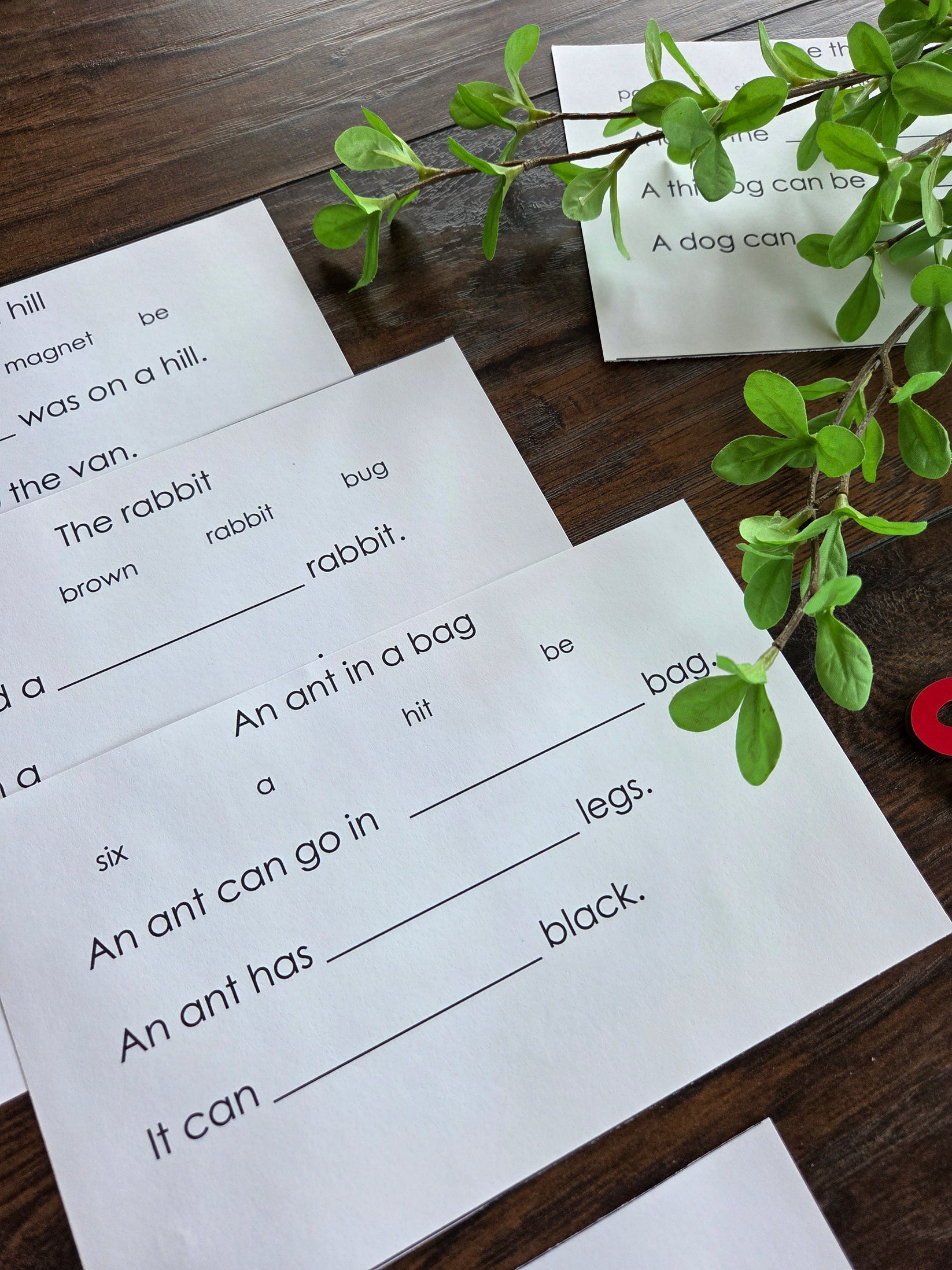 Modern Montessori Reading SOR simple reading comprehension fill in gap ...