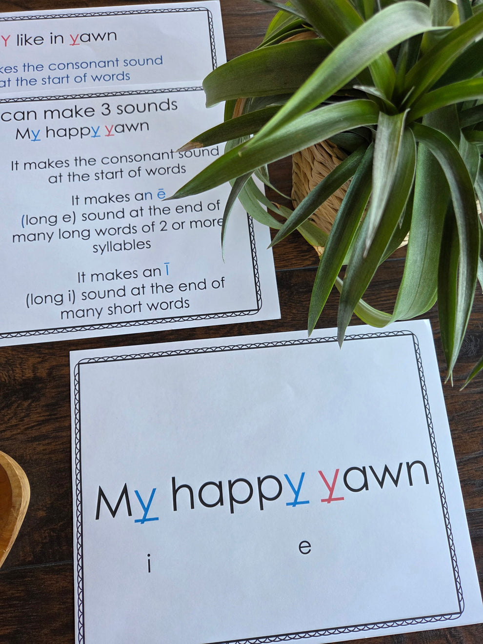 Modern Montessori Reading SOR Y makes 3 sounds posters (literacy ...
