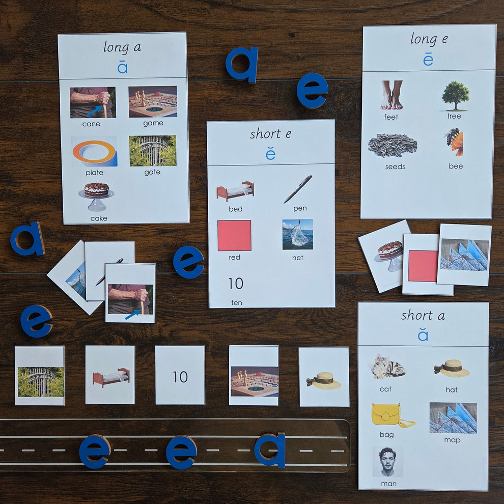 Modern Montessori Reading SOR Short and Long Vowel Aural Sorting Activ ...