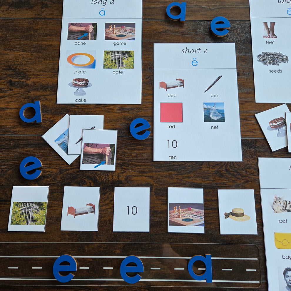 Modern Montessori Reading SOR Short and Long Vowel Aural Sorting Activ ...