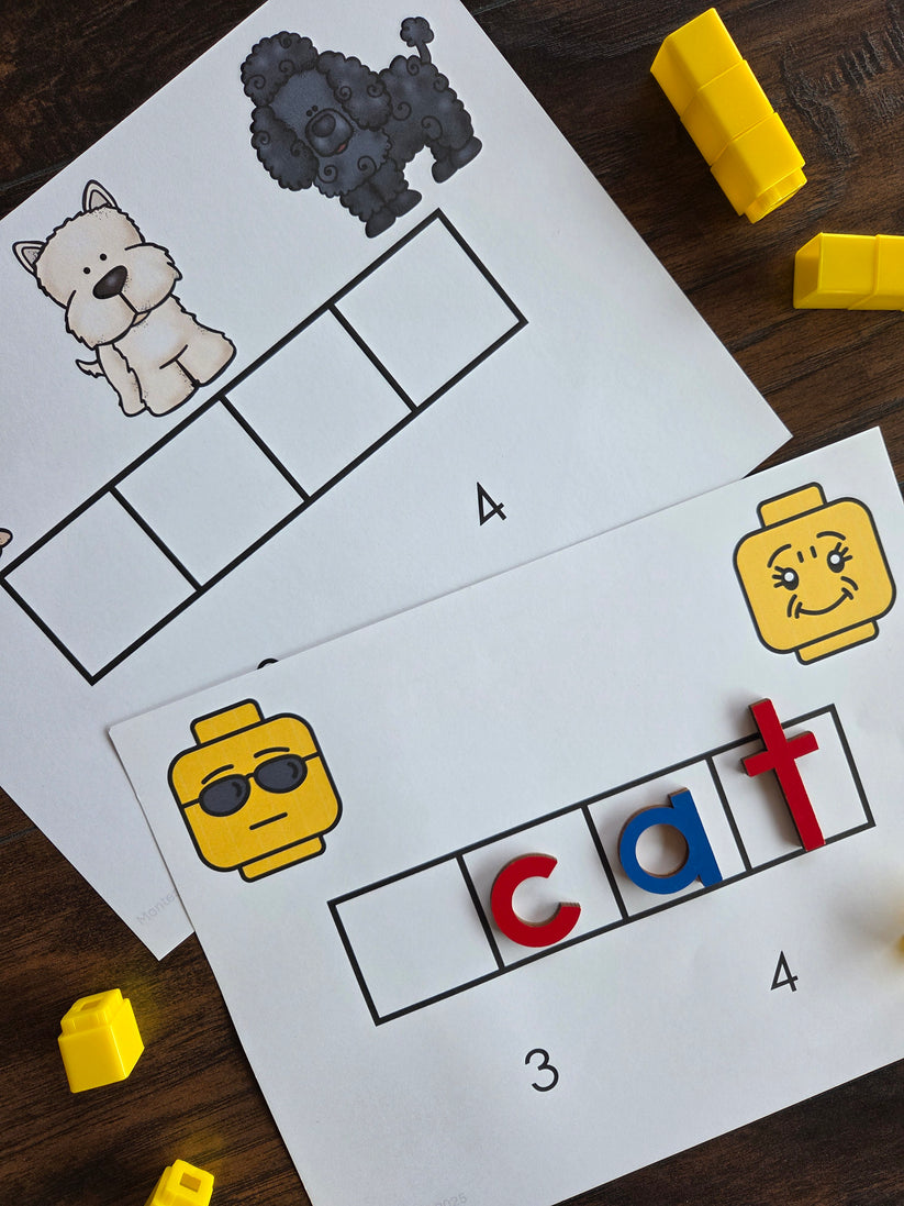 Modern Montessori Reading: Sound Boxes for segmenting words into indiv ...