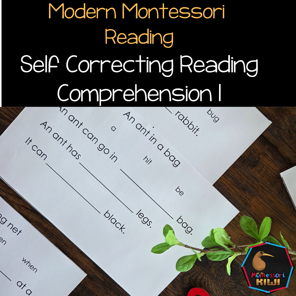 Modern Montessori Reading SOR simple reading comprehension fill in gap ...