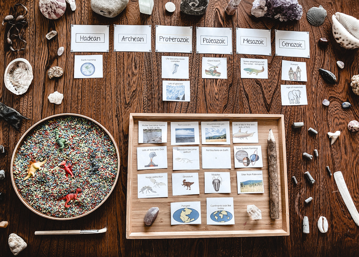 Montessori Clock of Eras Bundle (Timeline of Life & Earth History ...