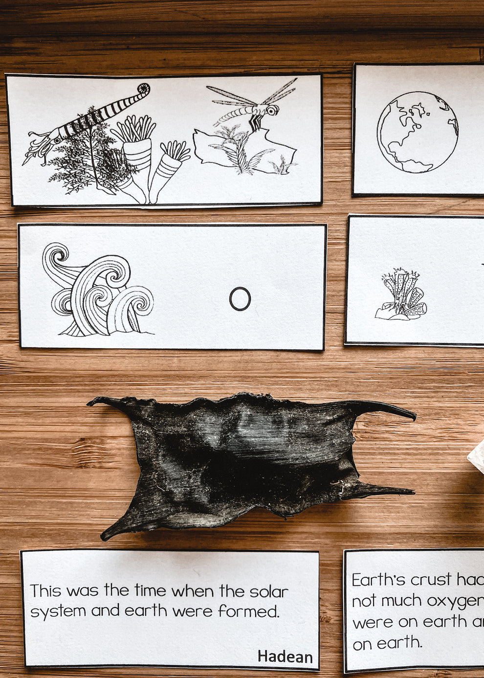 Clock of Eras Charts (cosmic) – montessorikiwi