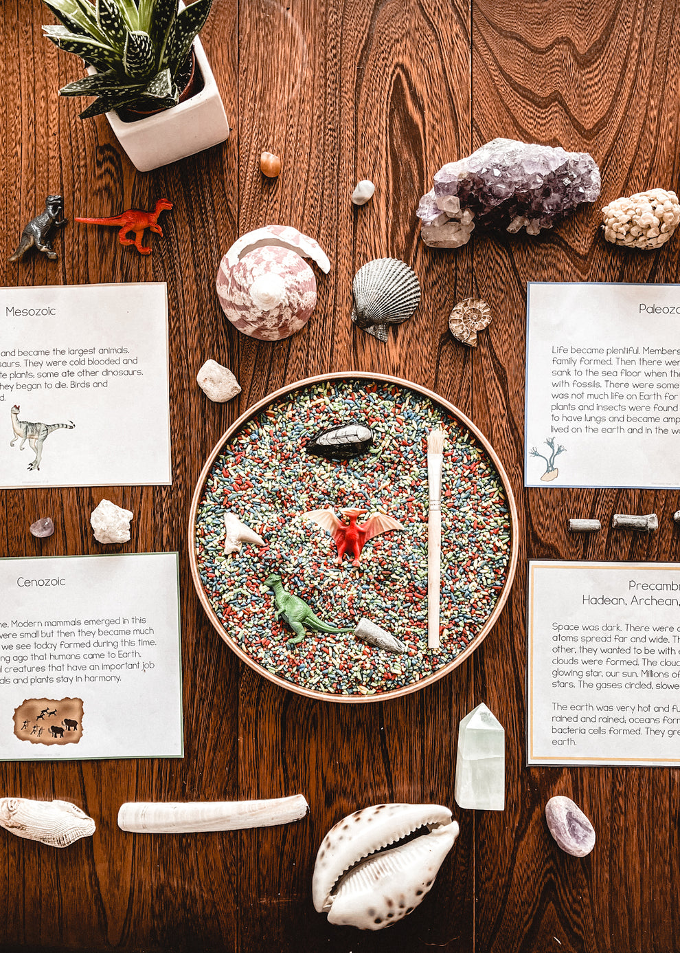 Clock of Eras paragraphs and cloze work (cosmic) – montessorikiwi