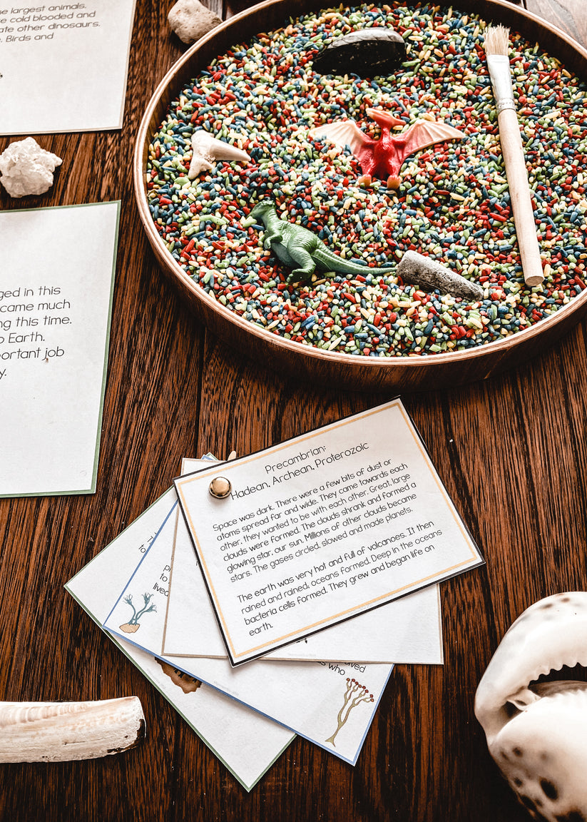 Clock of Eras paragraphs and cloze work (cosmic) – montessorikiwi