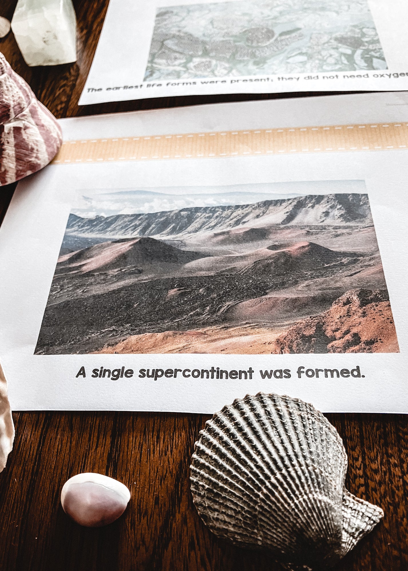 Montessori Clock of Eras timeline of life (cosmic) – montessorikiwi